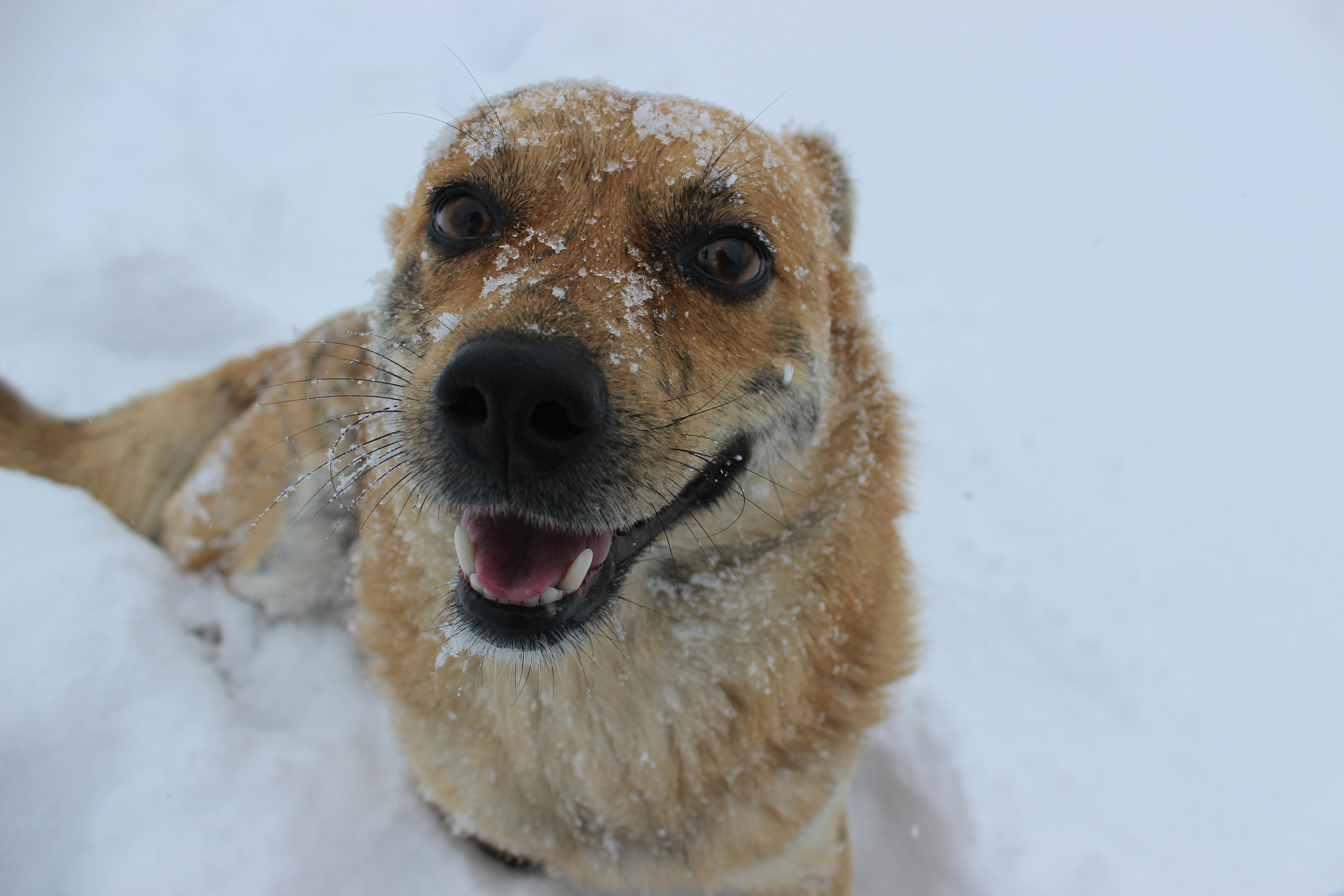 Valentin Adrian Bucur - 攝影