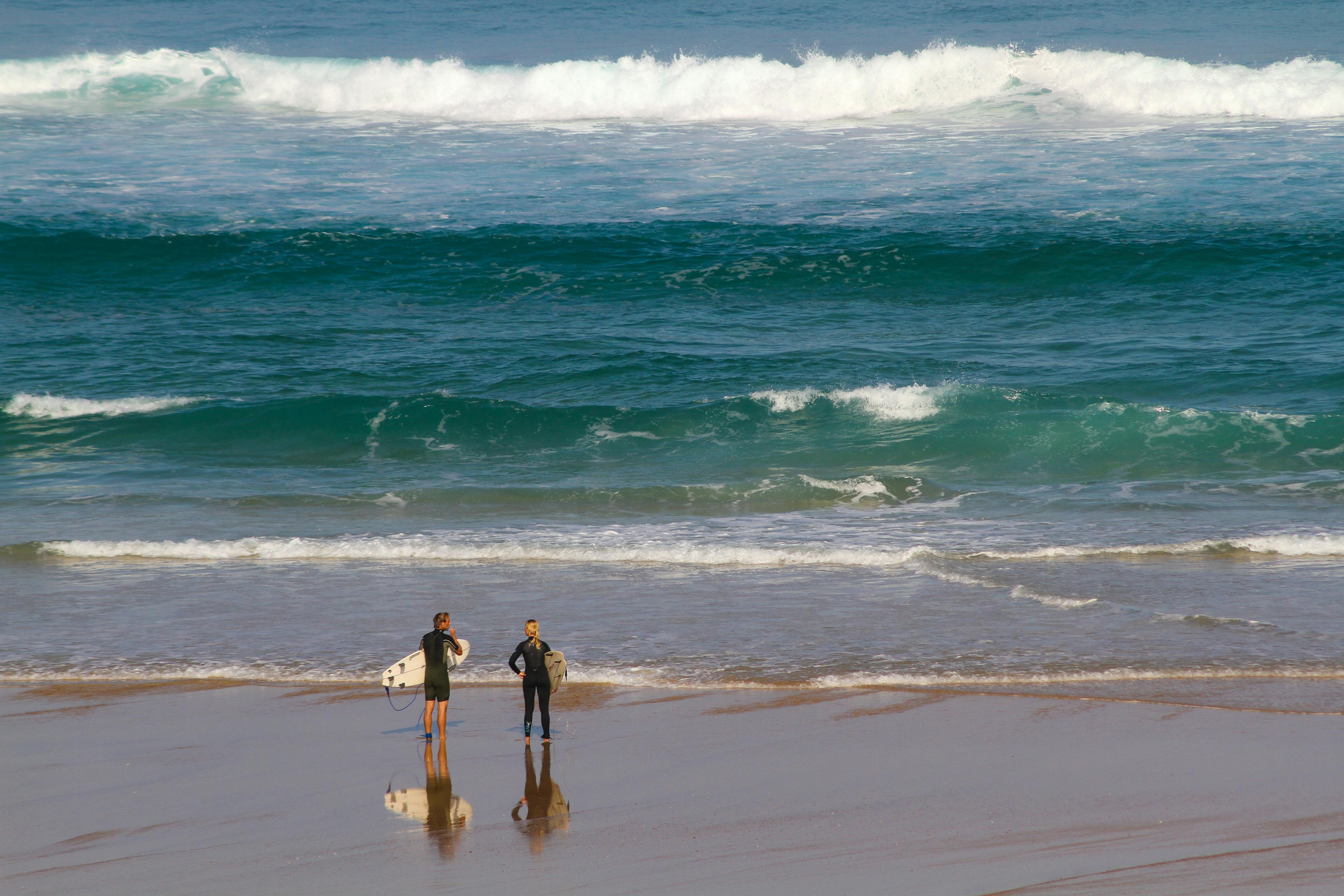 Back View of Two Surfers Standing on the Seashore · Free Stock Photo