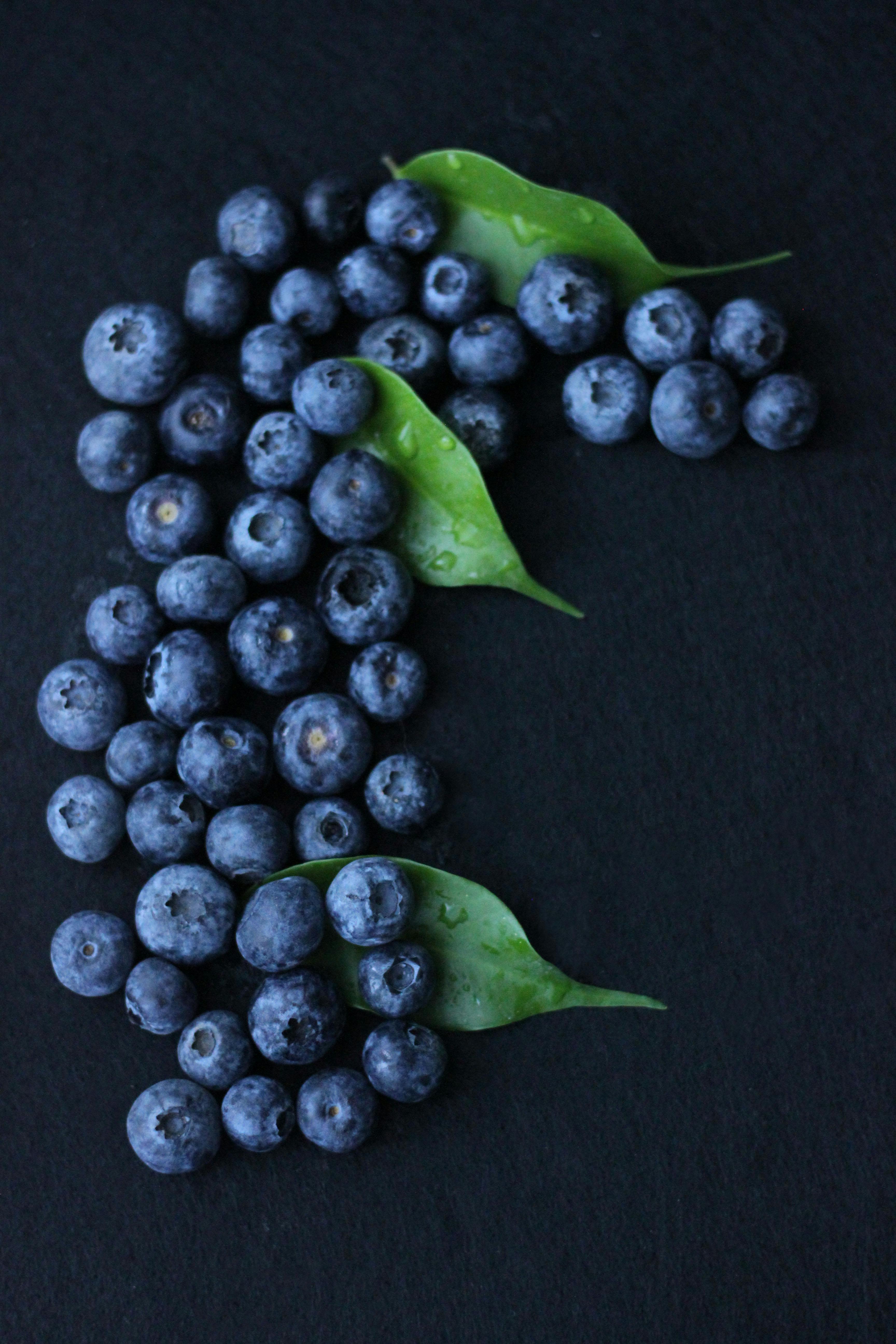 Person Holding Black Currants · Free Stock Photo