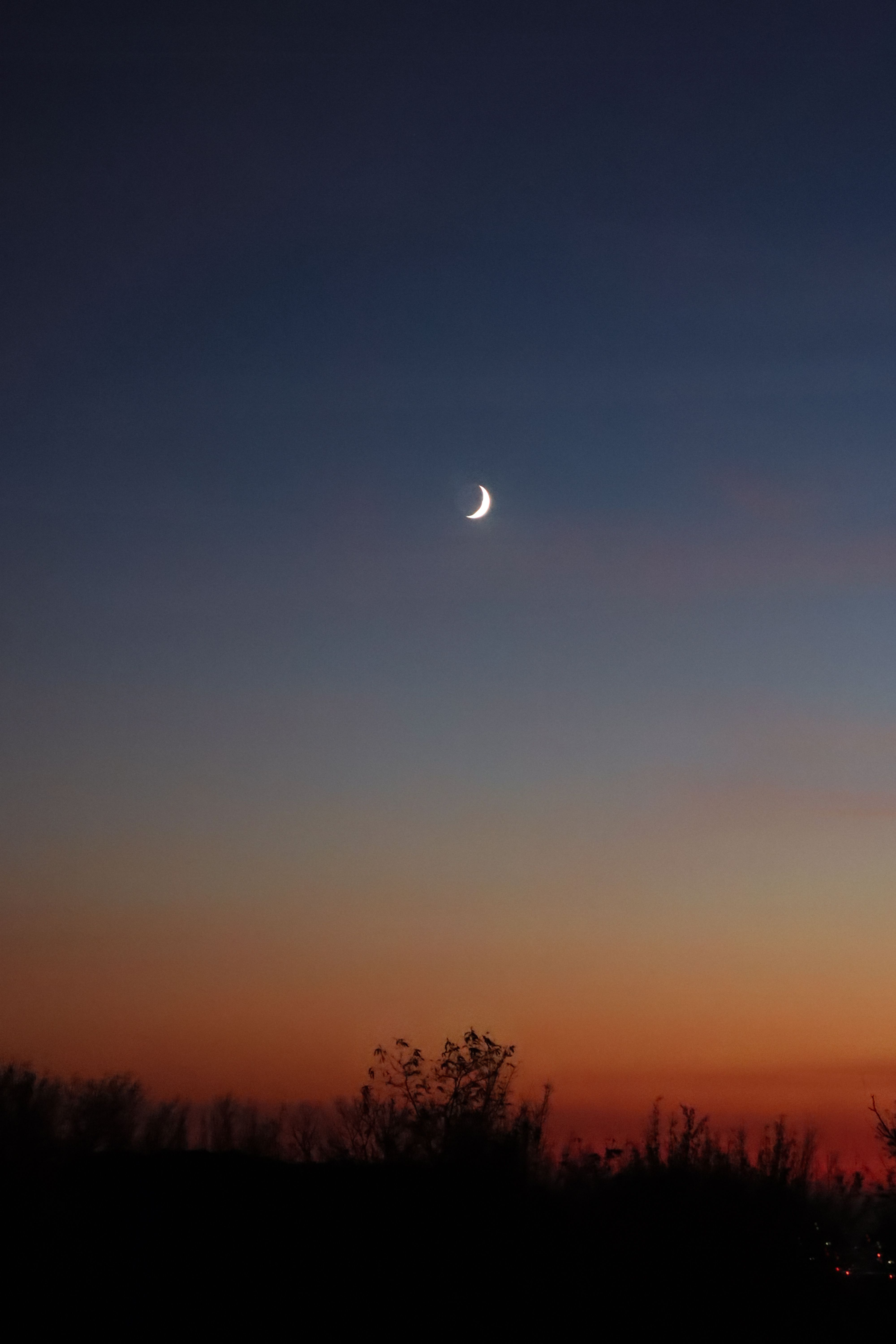 Photo of the Sky with Crescent Moon at Dusk · Free Stock Photo