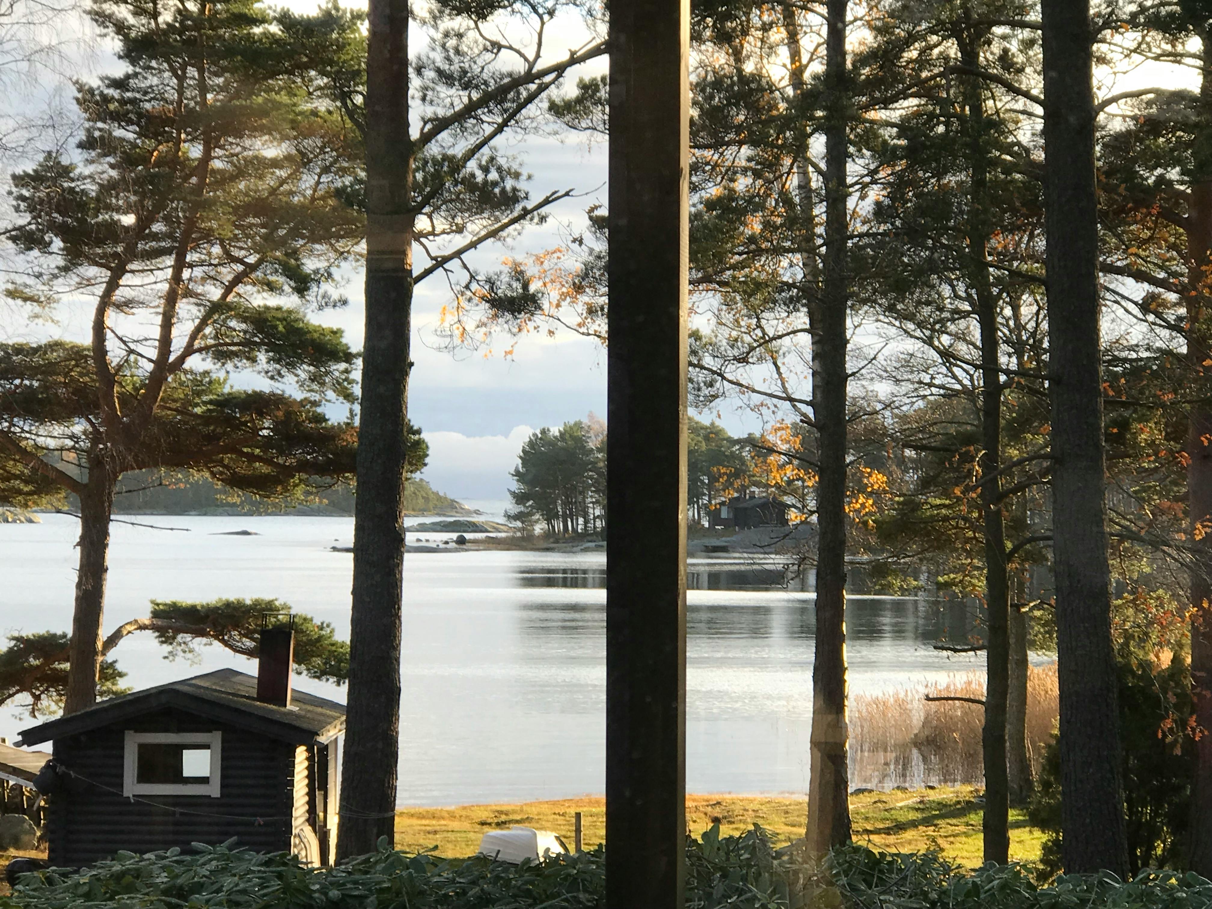 A Wooden Bridge Near Green and Brown Trees · Free Stock Photo