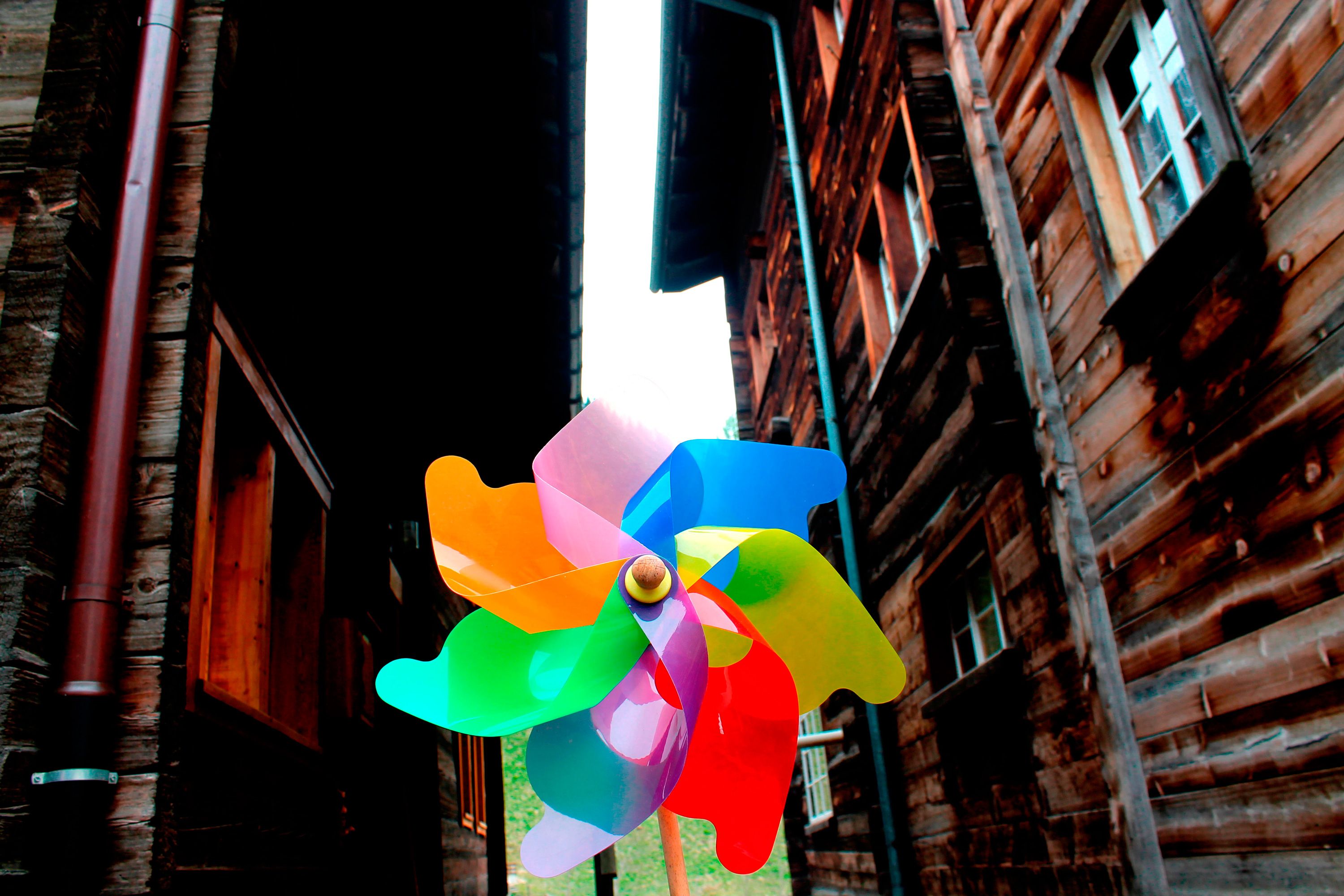 Yellow, Pink, Blue, and Red Pinwheel · Free Stock Photo
