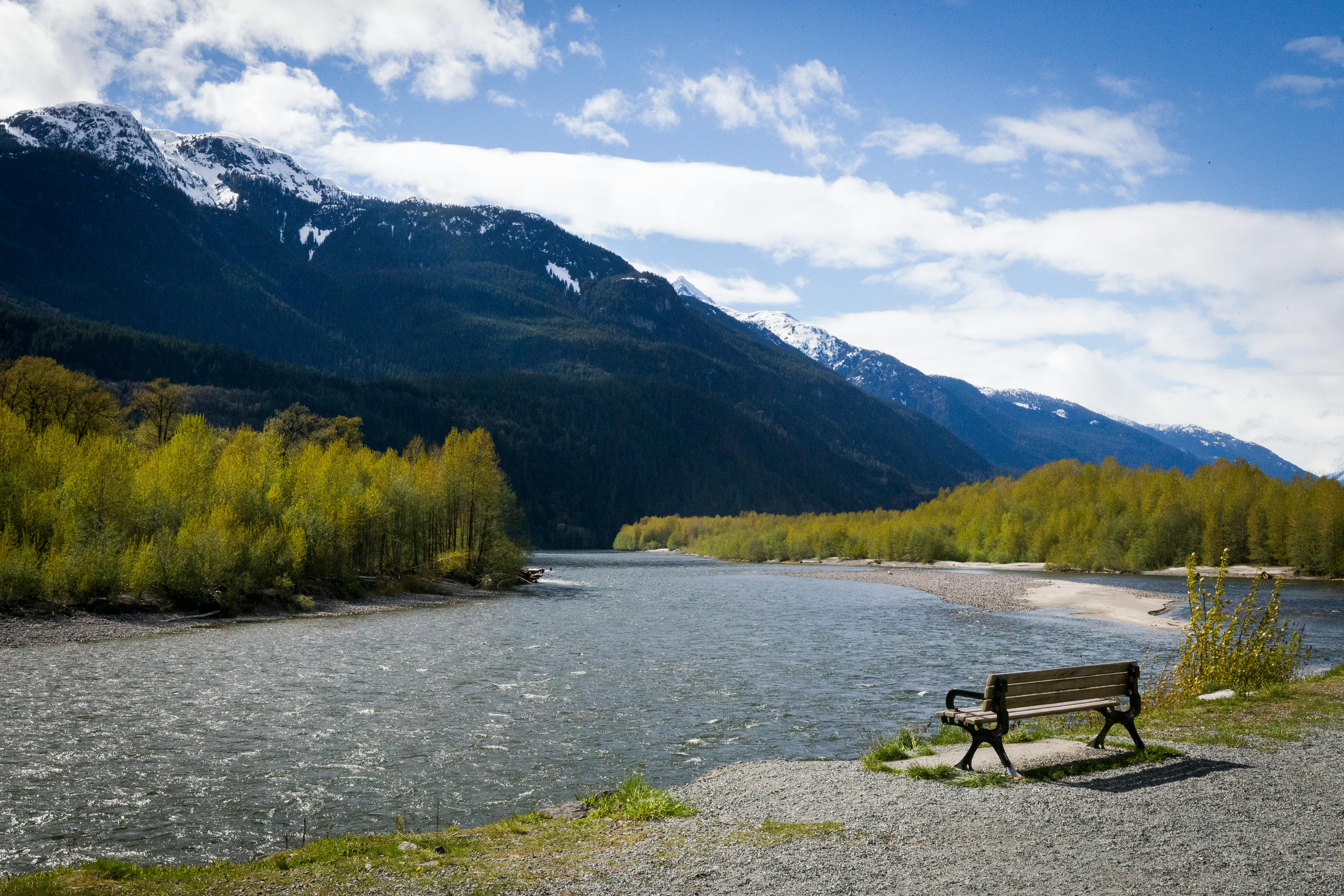 Wooden Bench Near the River · Free Stock Photo