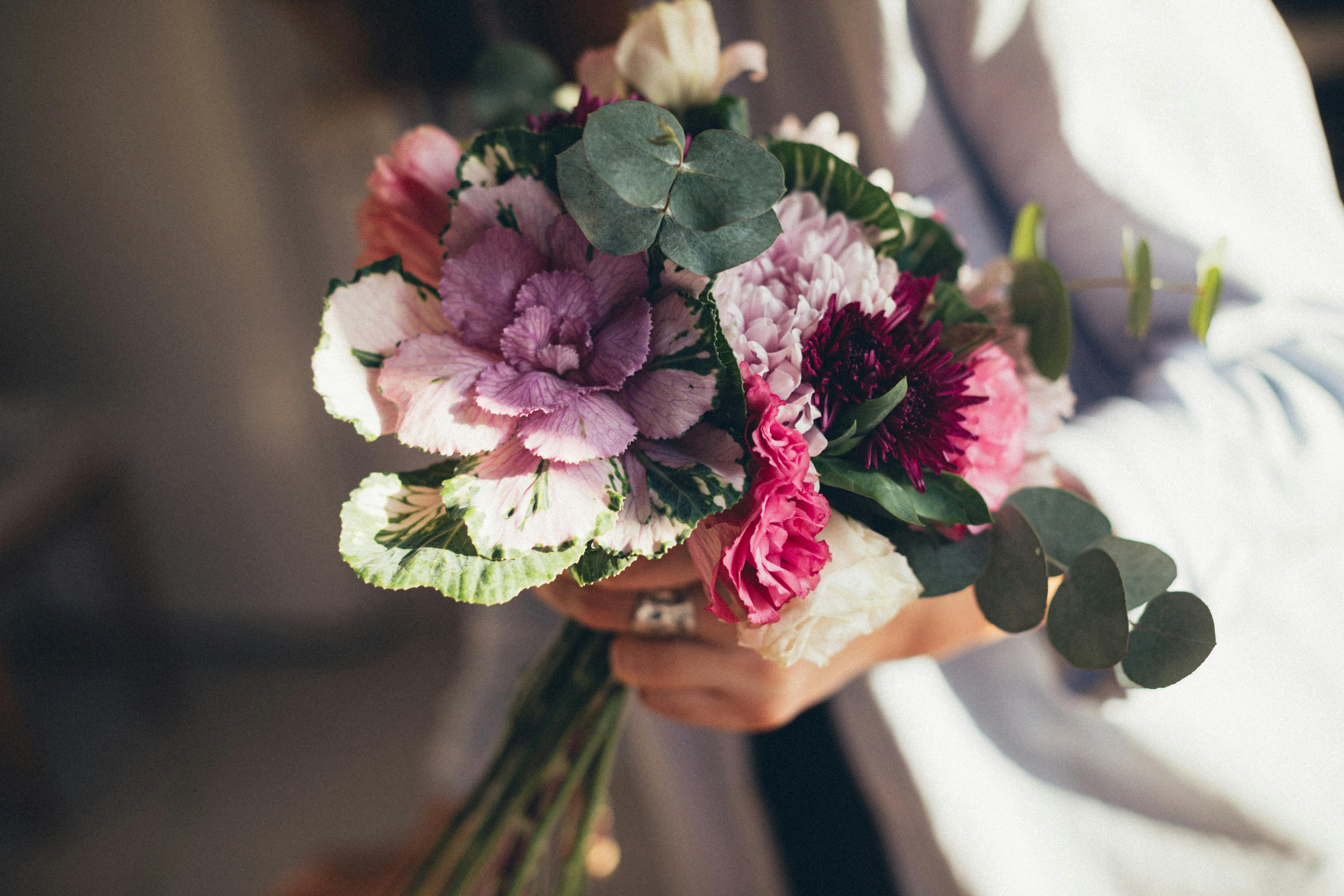 A Person Holding a Bouquet of Flowers · Free Stock Photo