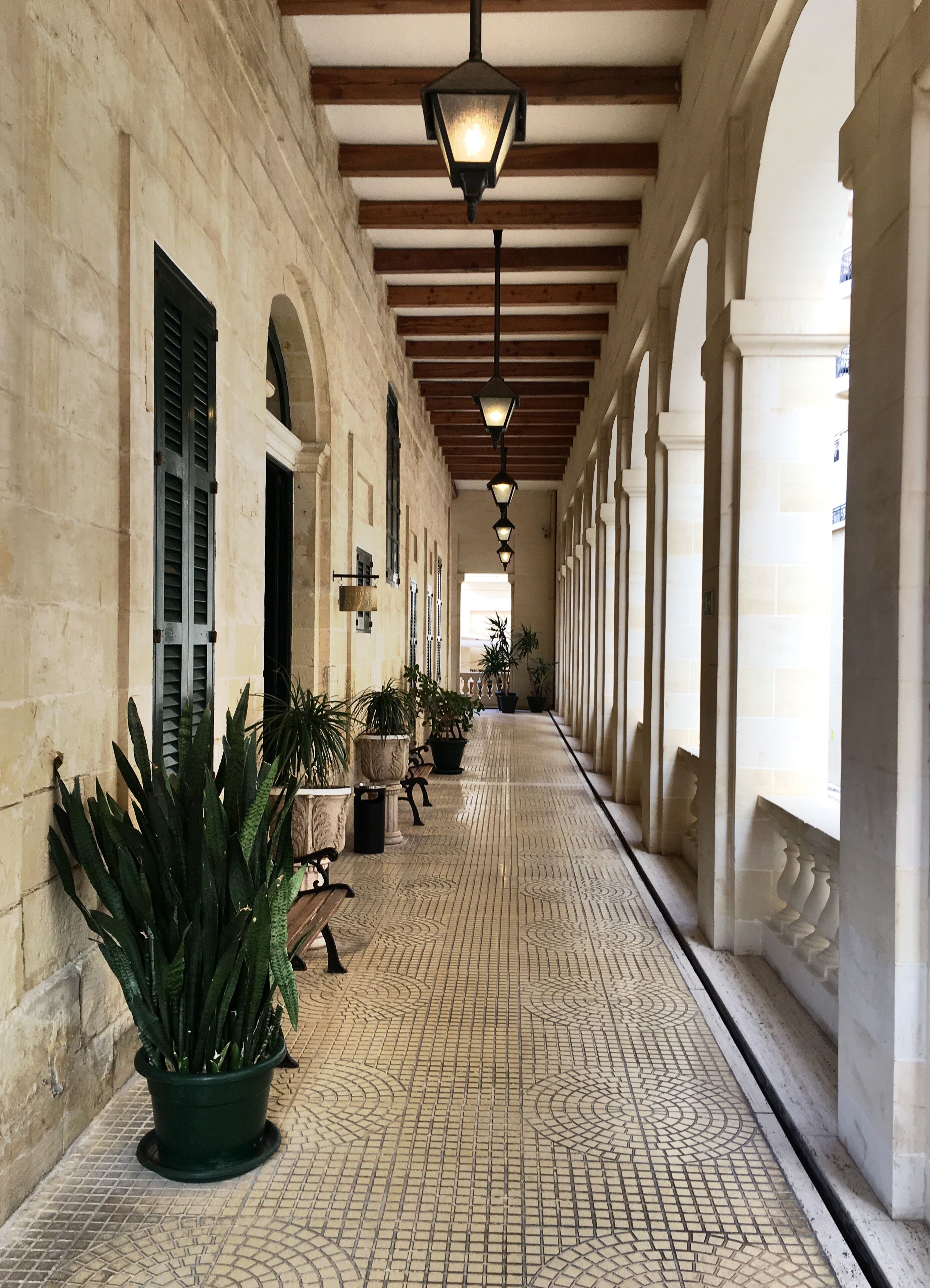 Narrow corridor in classic styled mansion decorated with various plants ...