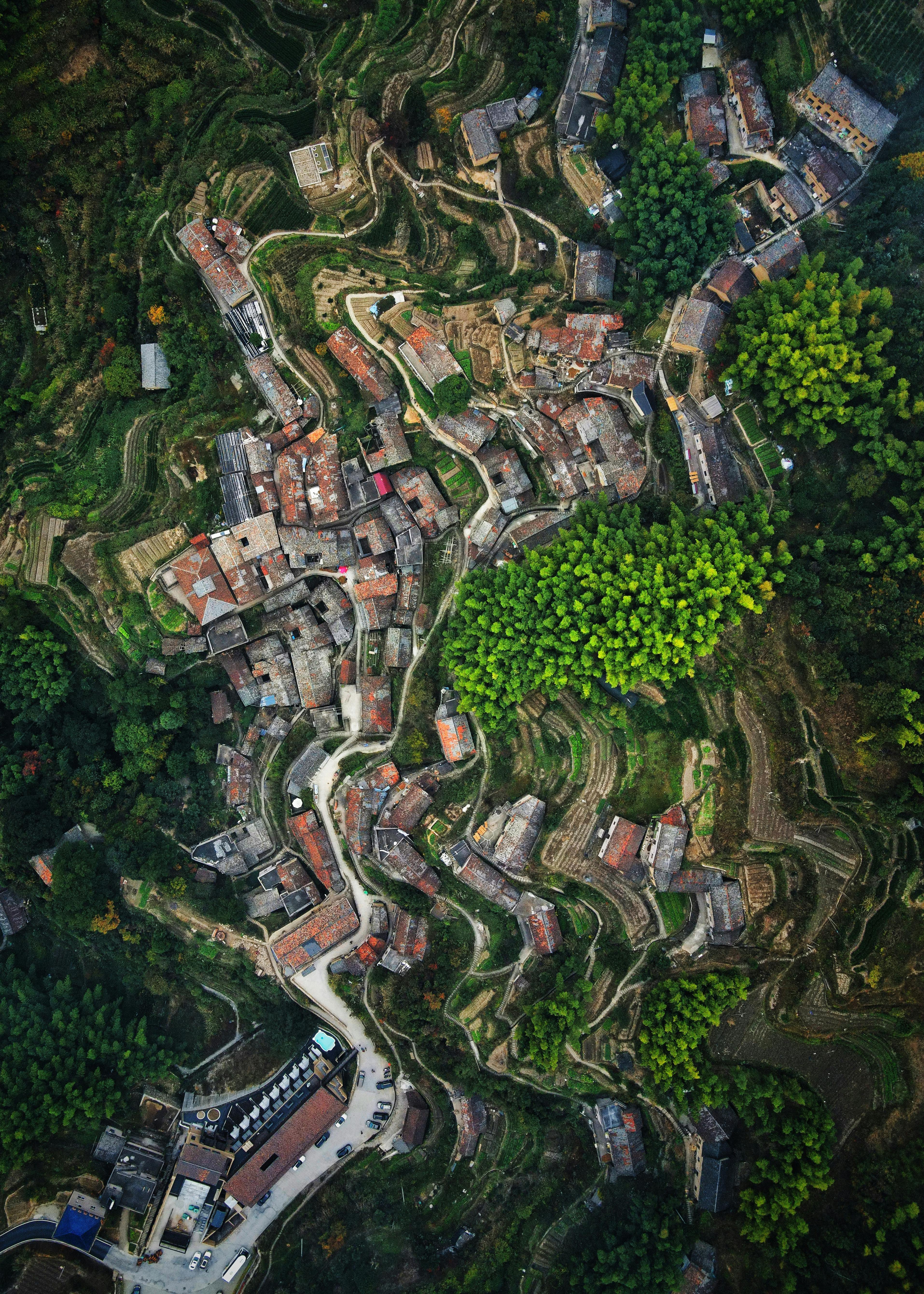 Flowy Lines Photos, Download The BEST Free Flowy Lines Stock Photos ...