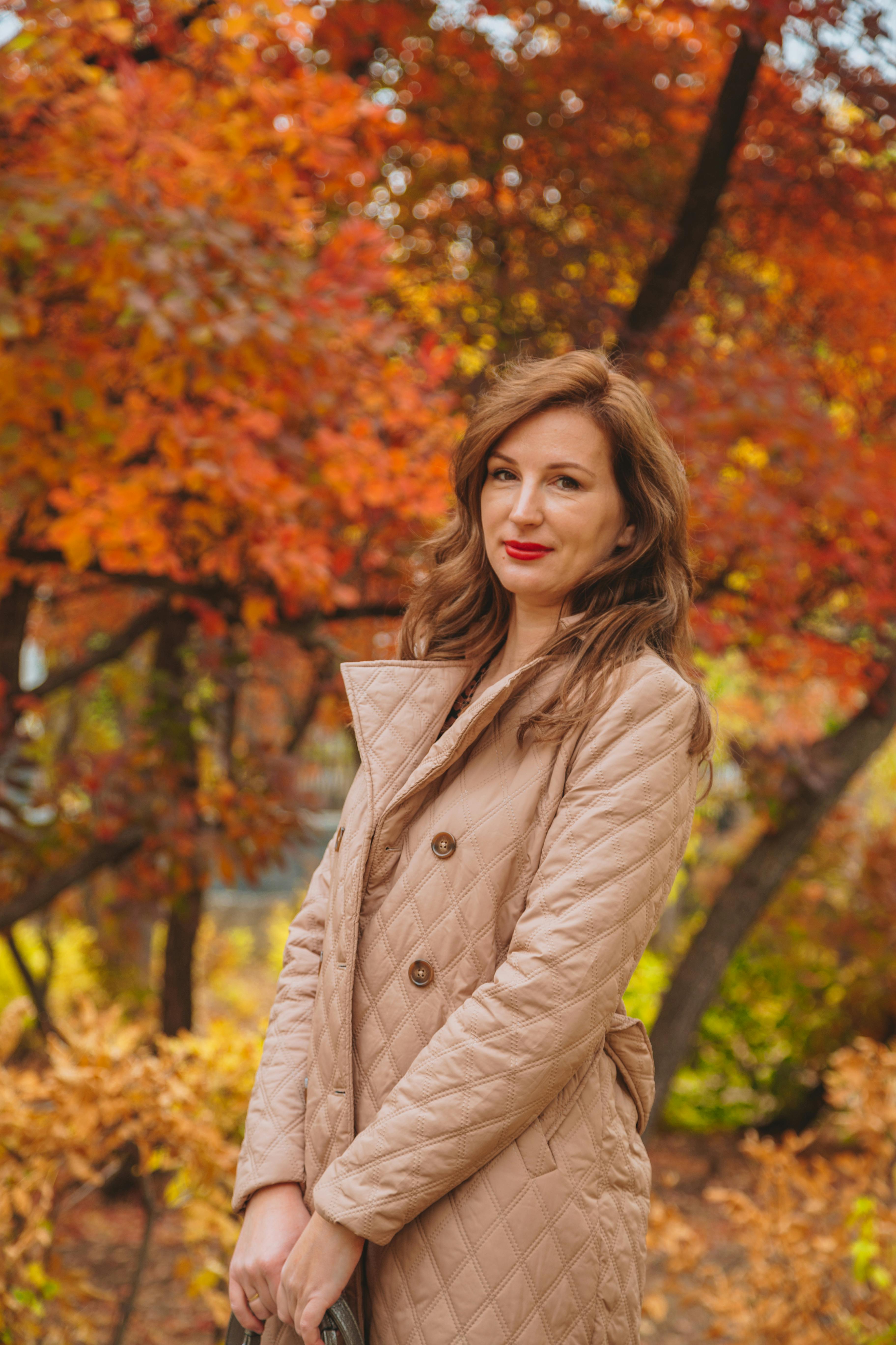 Perfect Weather Photos, Download The BEST Free Perfect Weather Stock ...