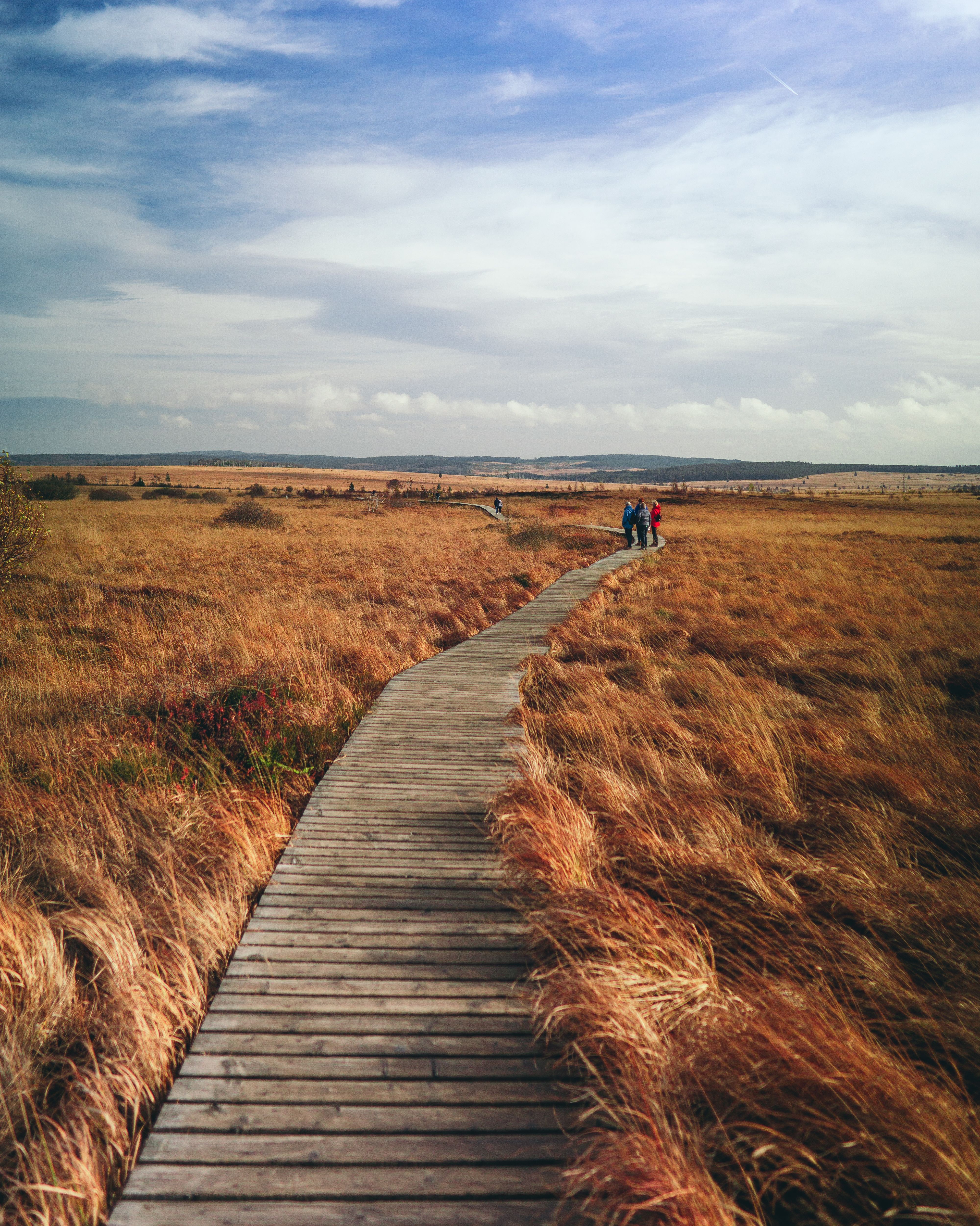 Person Walking On Paved Walkway Under Dark Clouds · Free Stock Photo