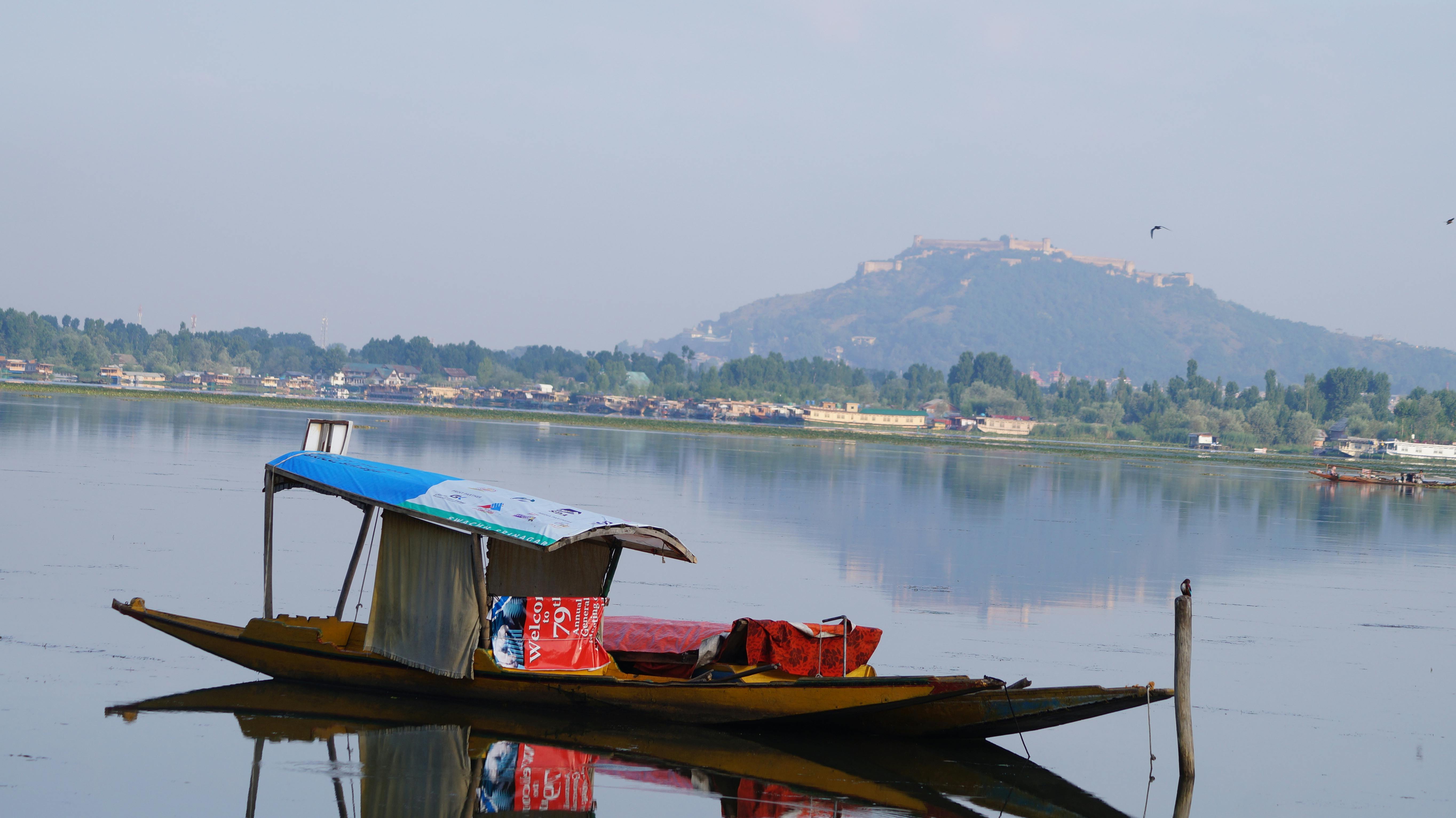 Free stock photo of Dal Lake