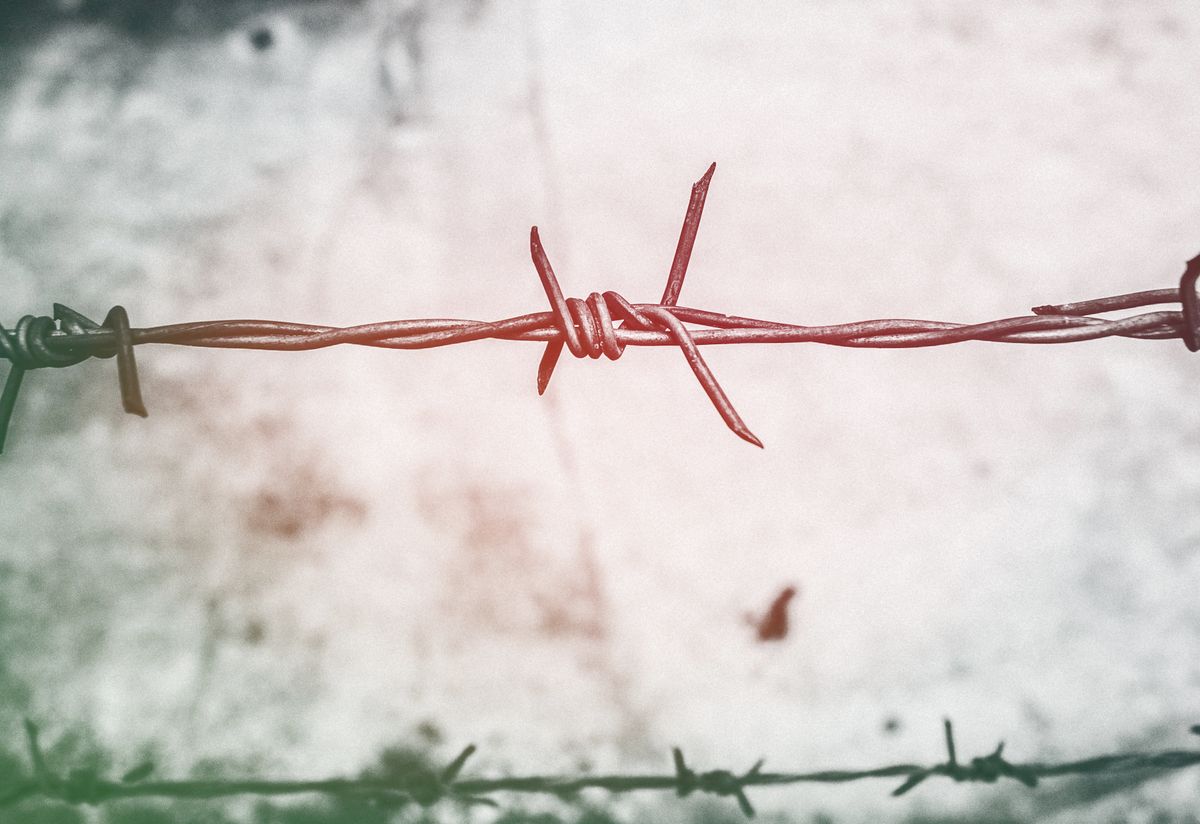 Barbed Wire Photos, Download The BEST Free Barbed Wire Stock Photos ...