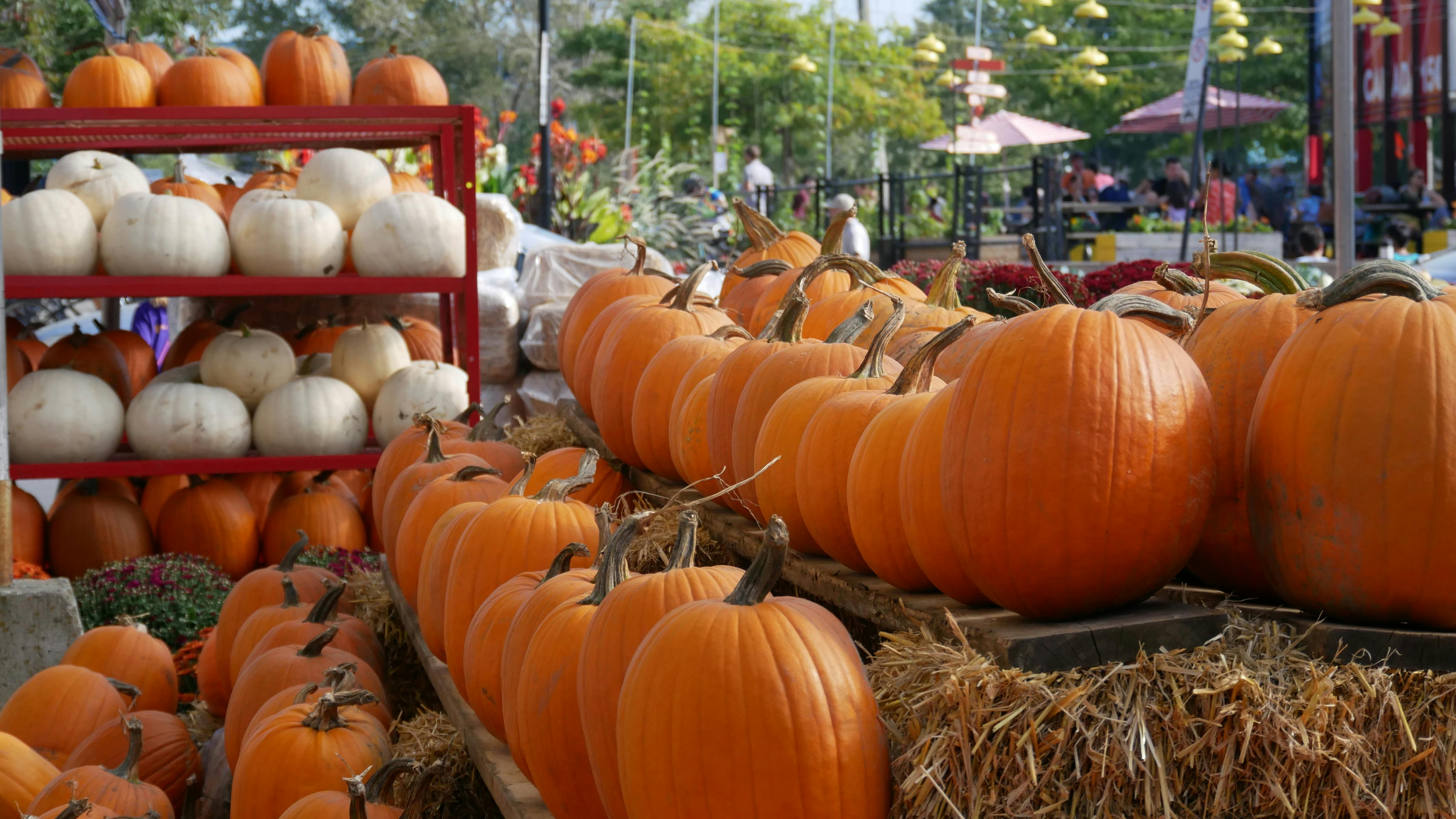 David Libeau - Photography