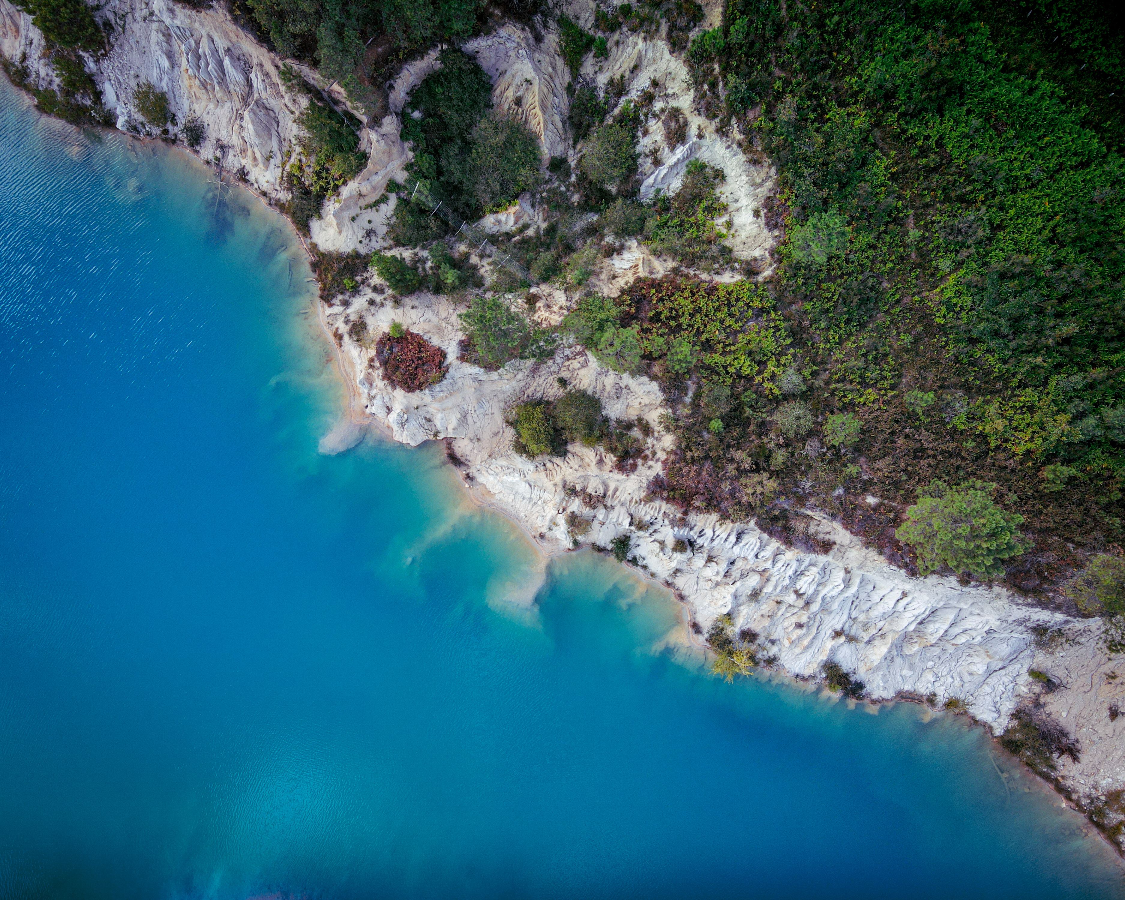 Landscape of green vegetation with cliff near seashore · Free Stock Photo