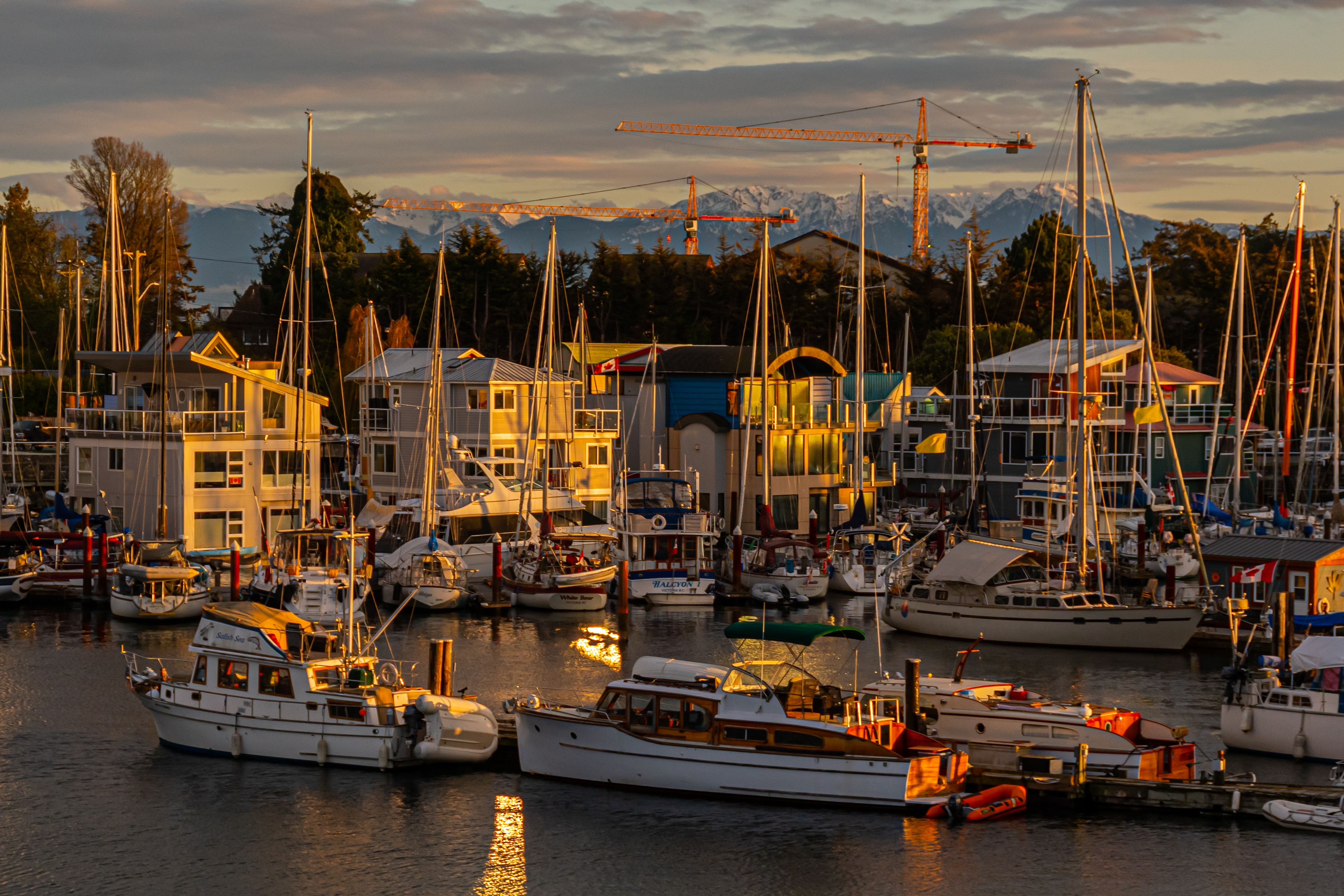 White Boats on Dock · Free Stock Photo