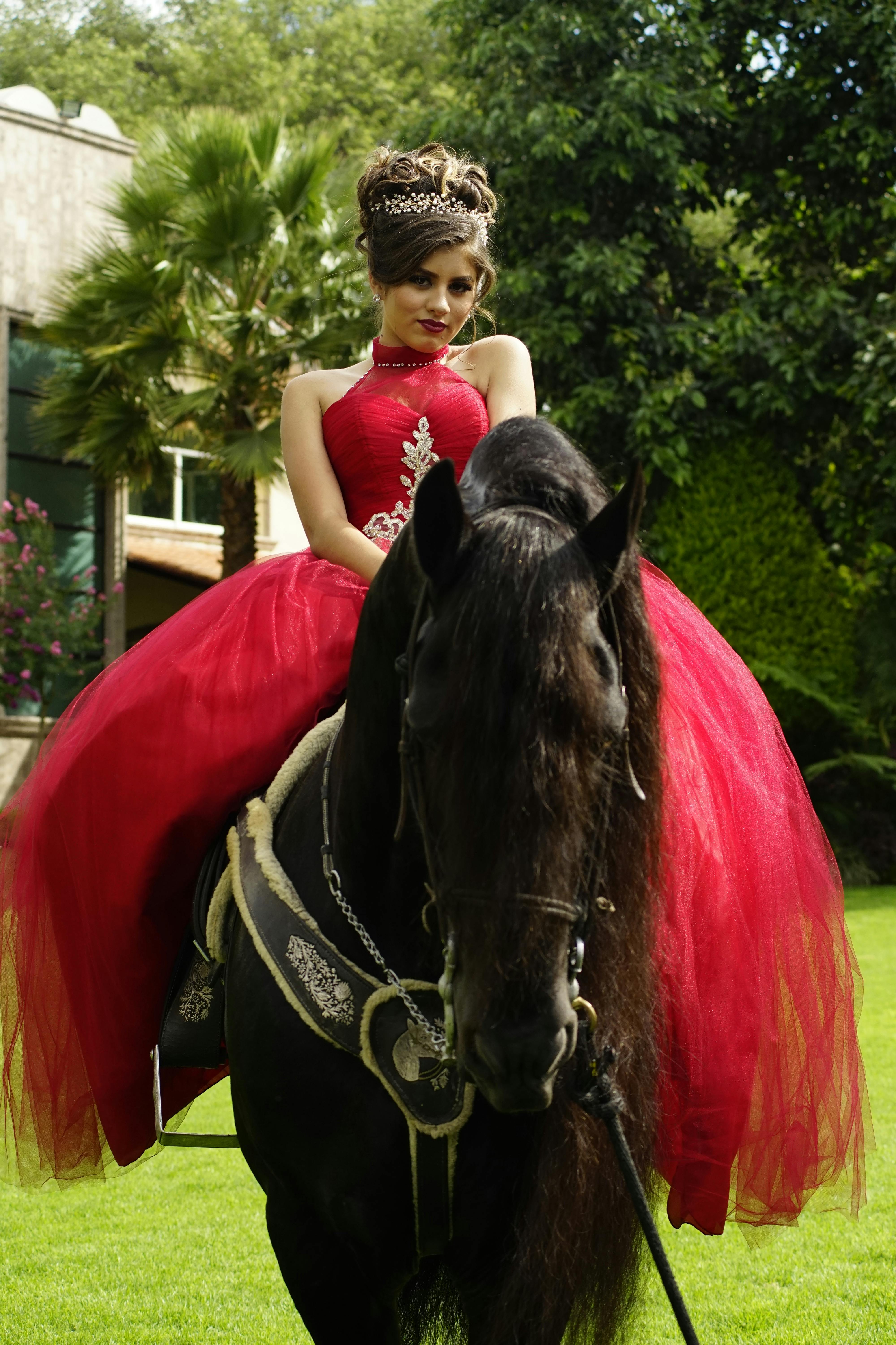 Horse Princess Photos, Download The BEST Free Horse Princess Stock ...