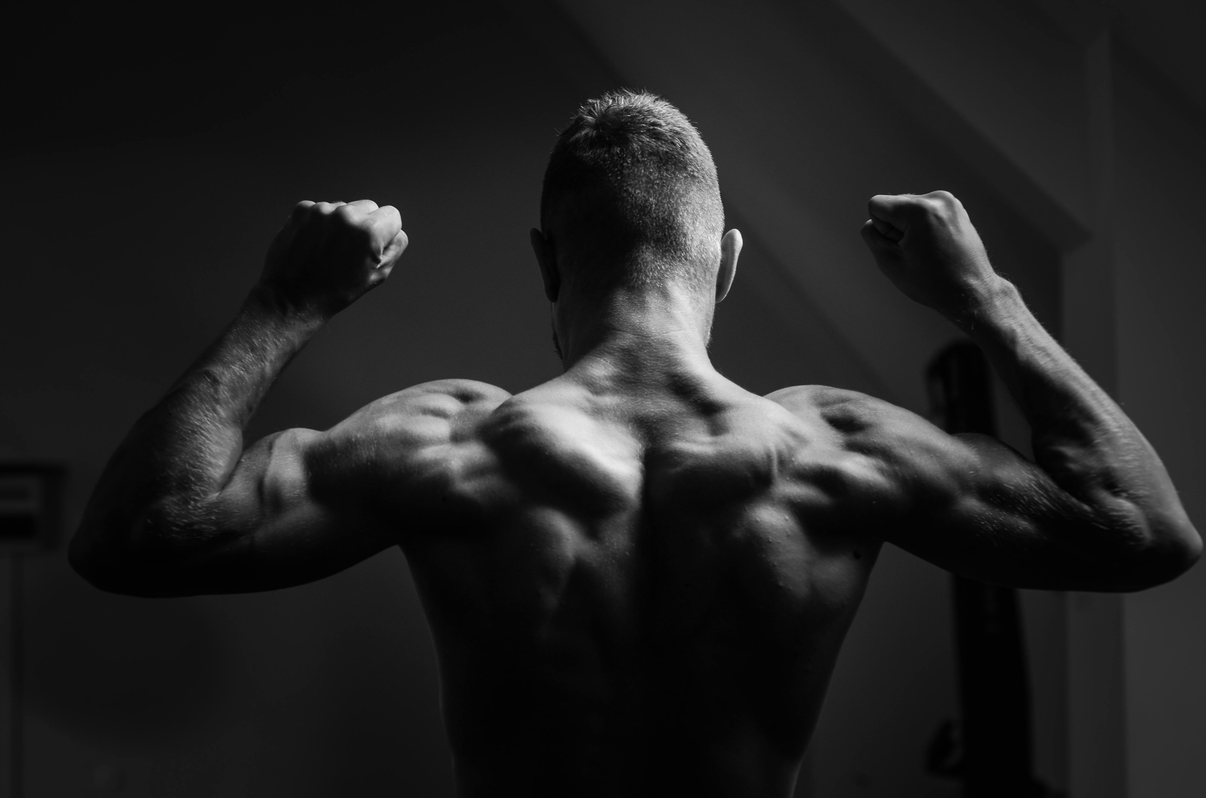 Man in Muscle Back View · Free Stock Photo