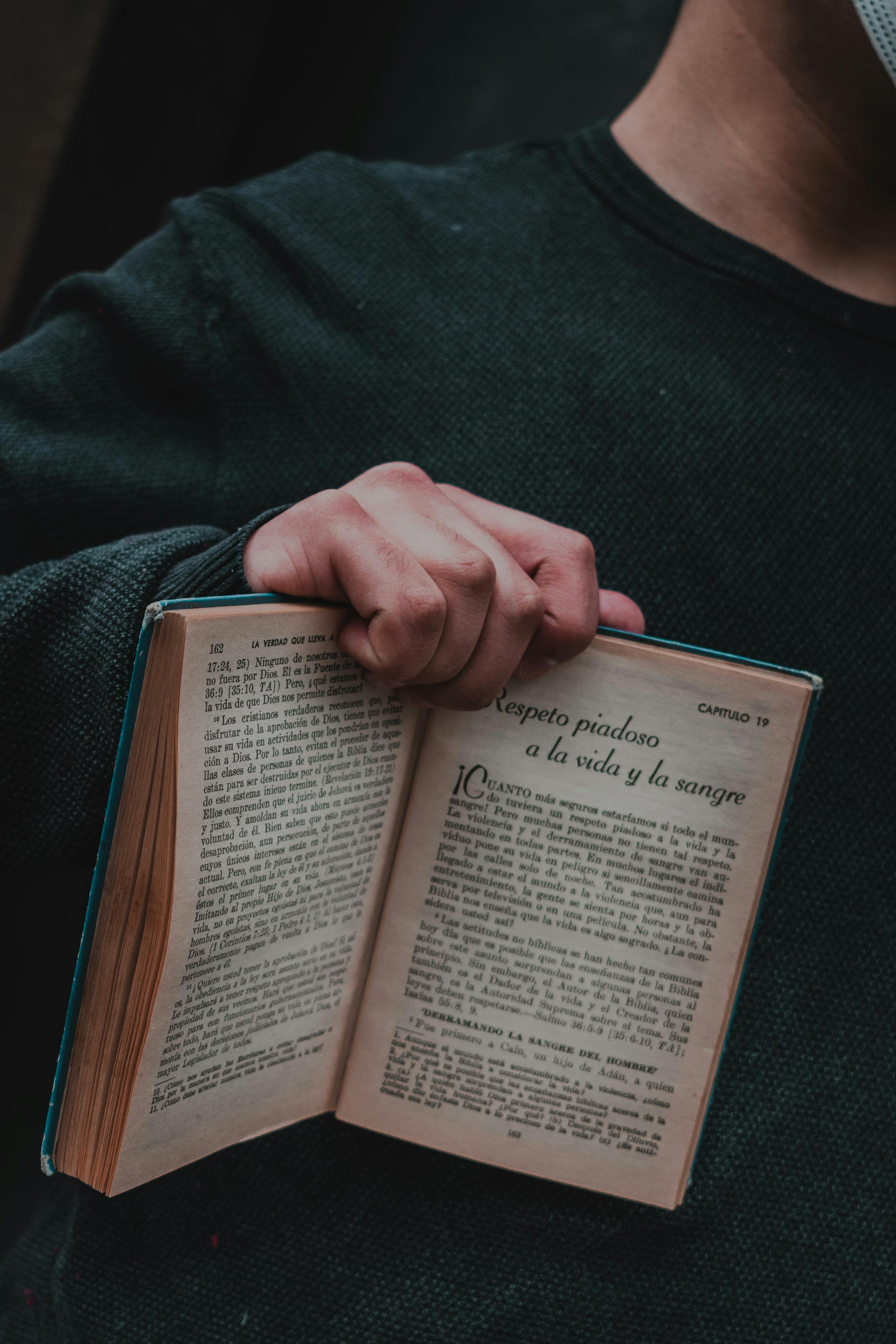 A Person Reading a Book · Free Stock Photo