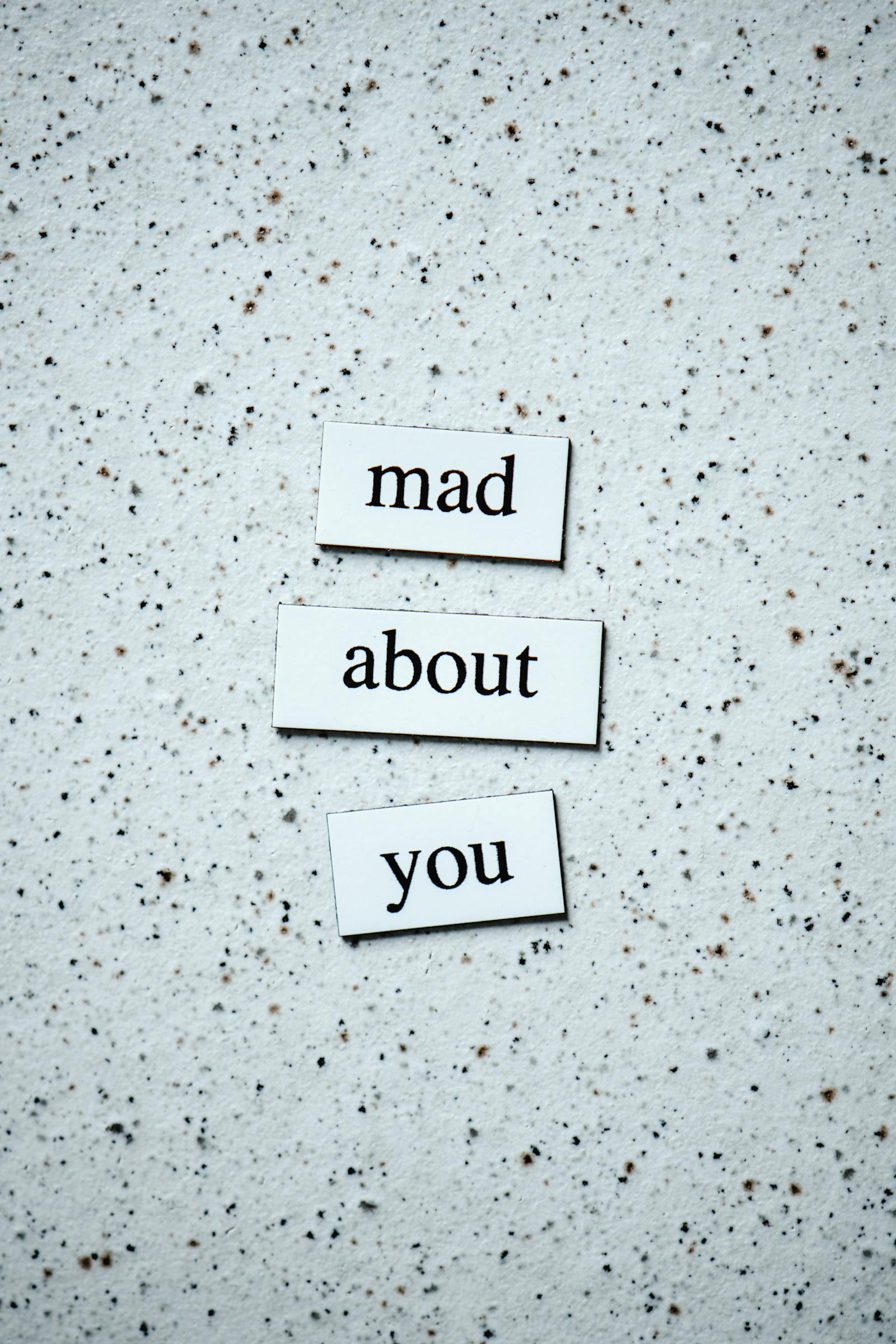 Meaningful Photos, Download The BEST Free Meaningful Stock Photos & HD ...