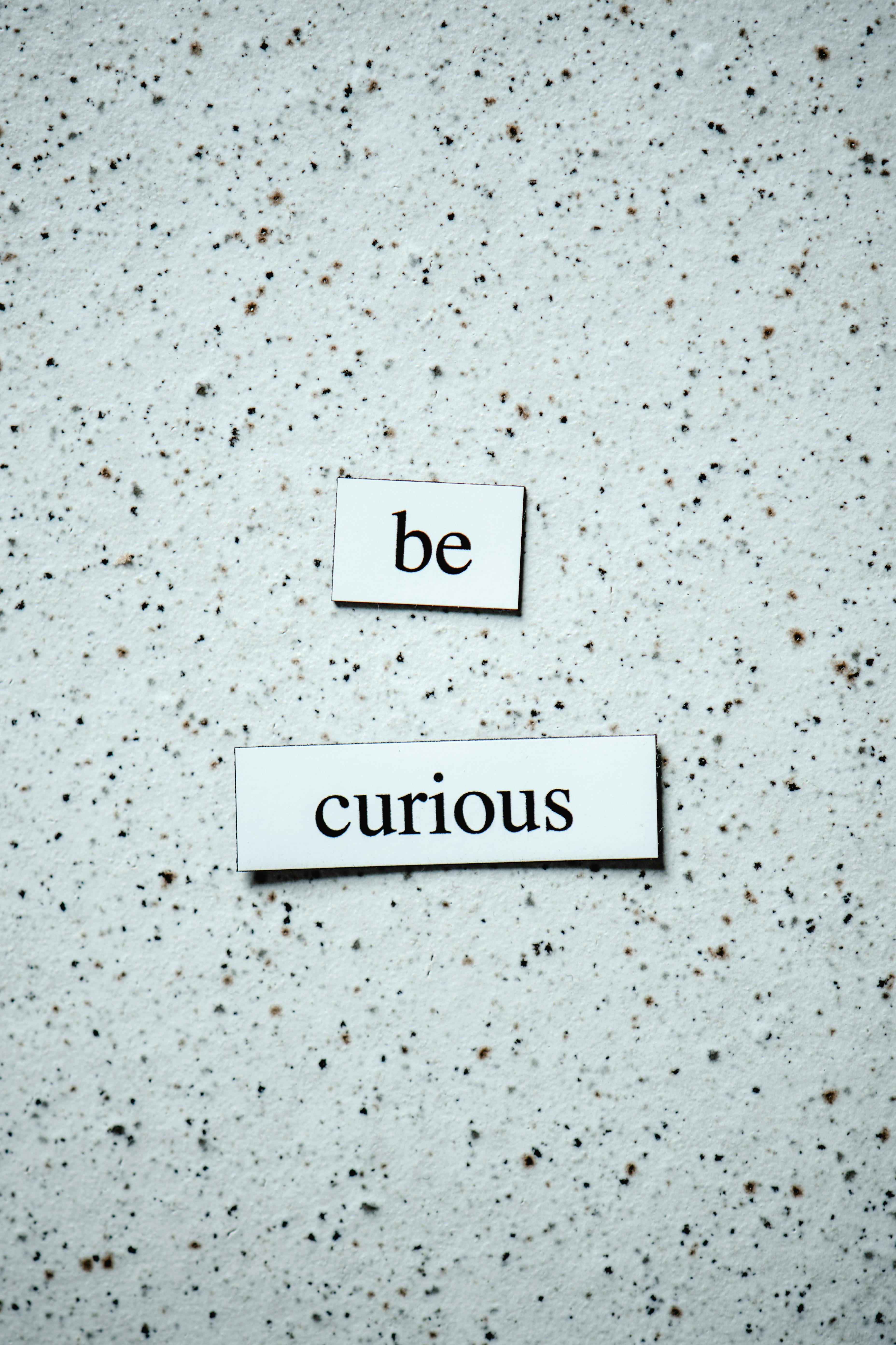 Motivational Quote on a Board · Free Stock Photo