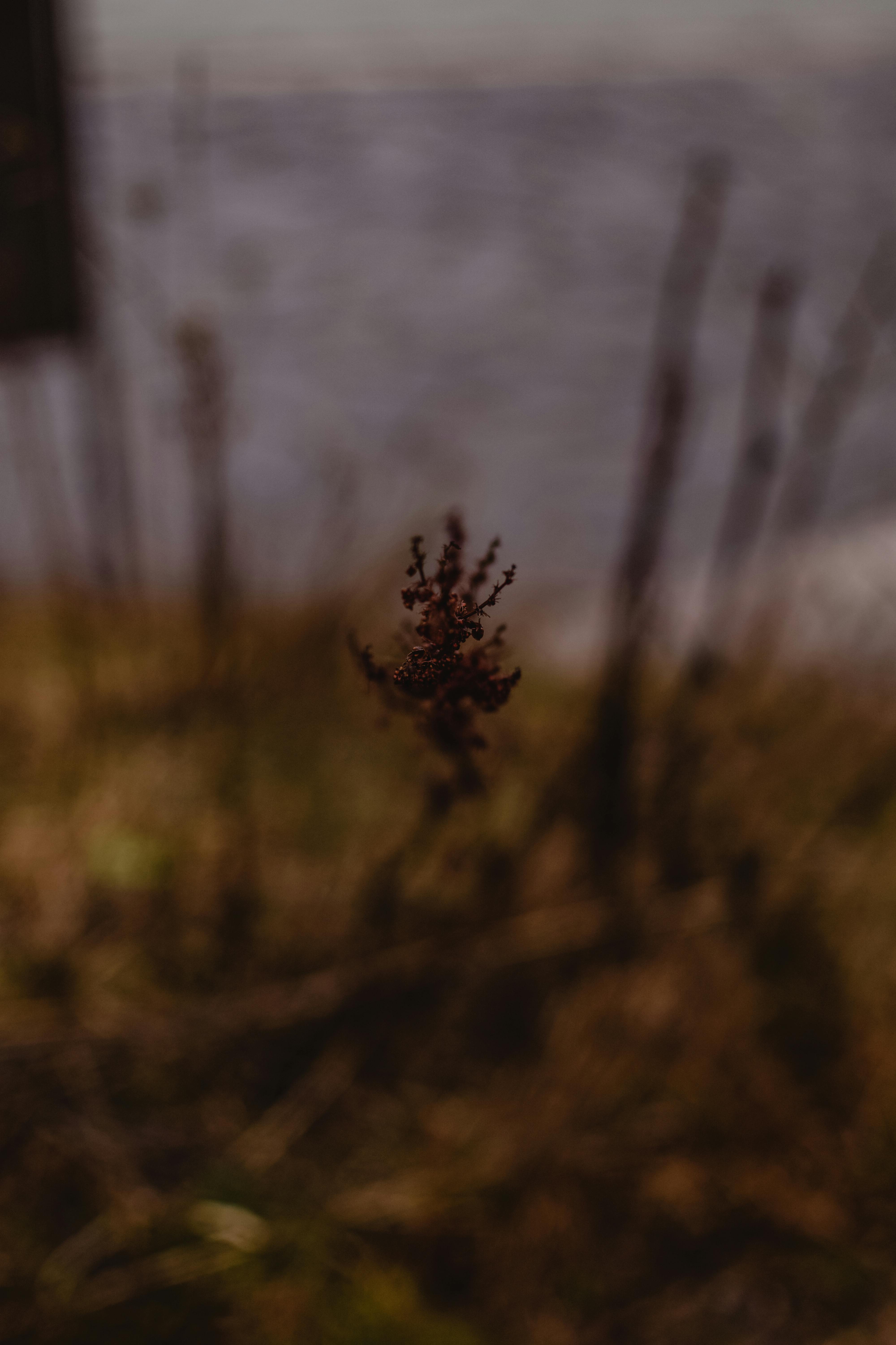 Helsinki Landscape Photos, Download The BEST Free Helsinki Landscape ...