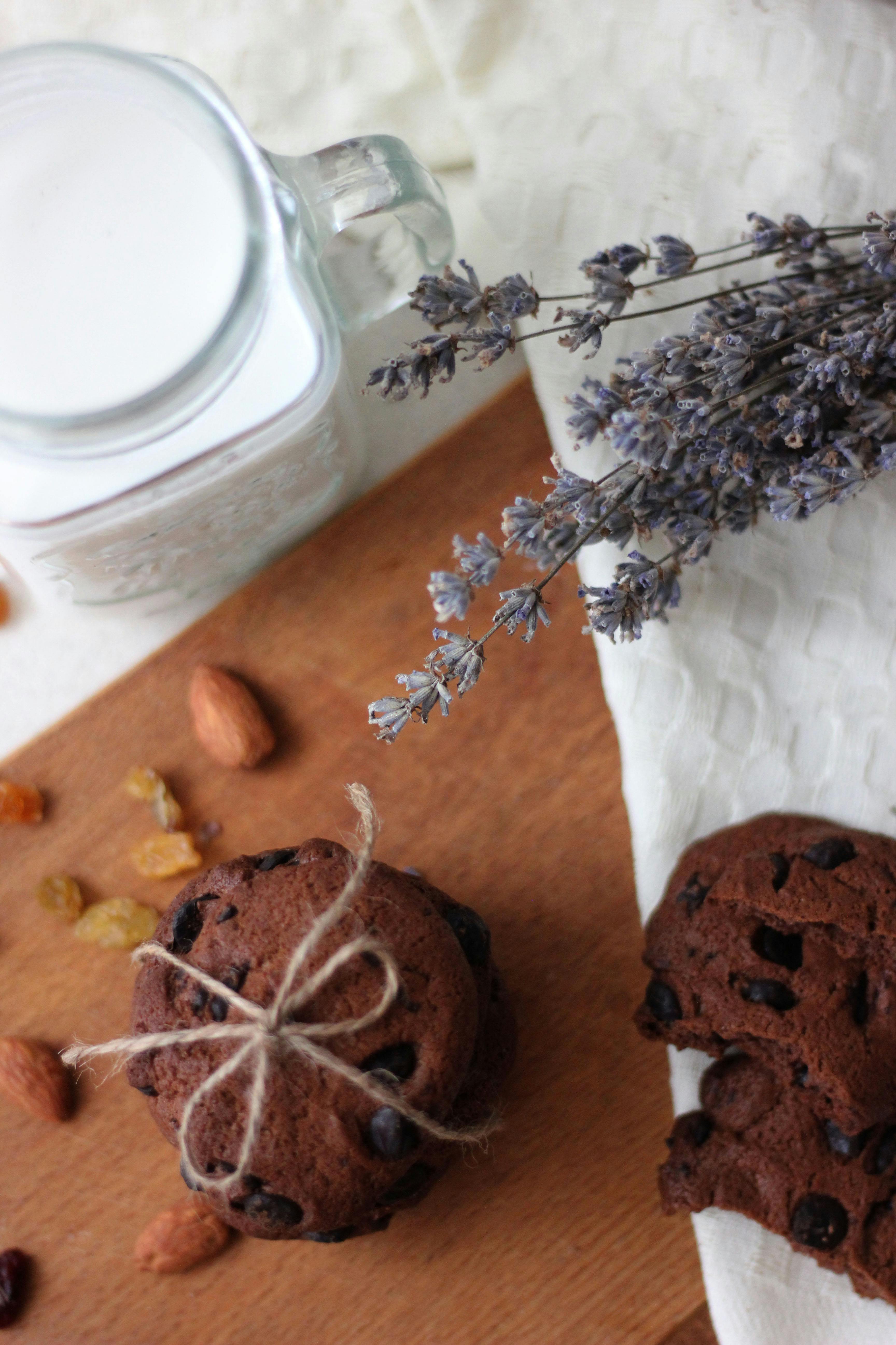 Sveta Glodan - Fotografía