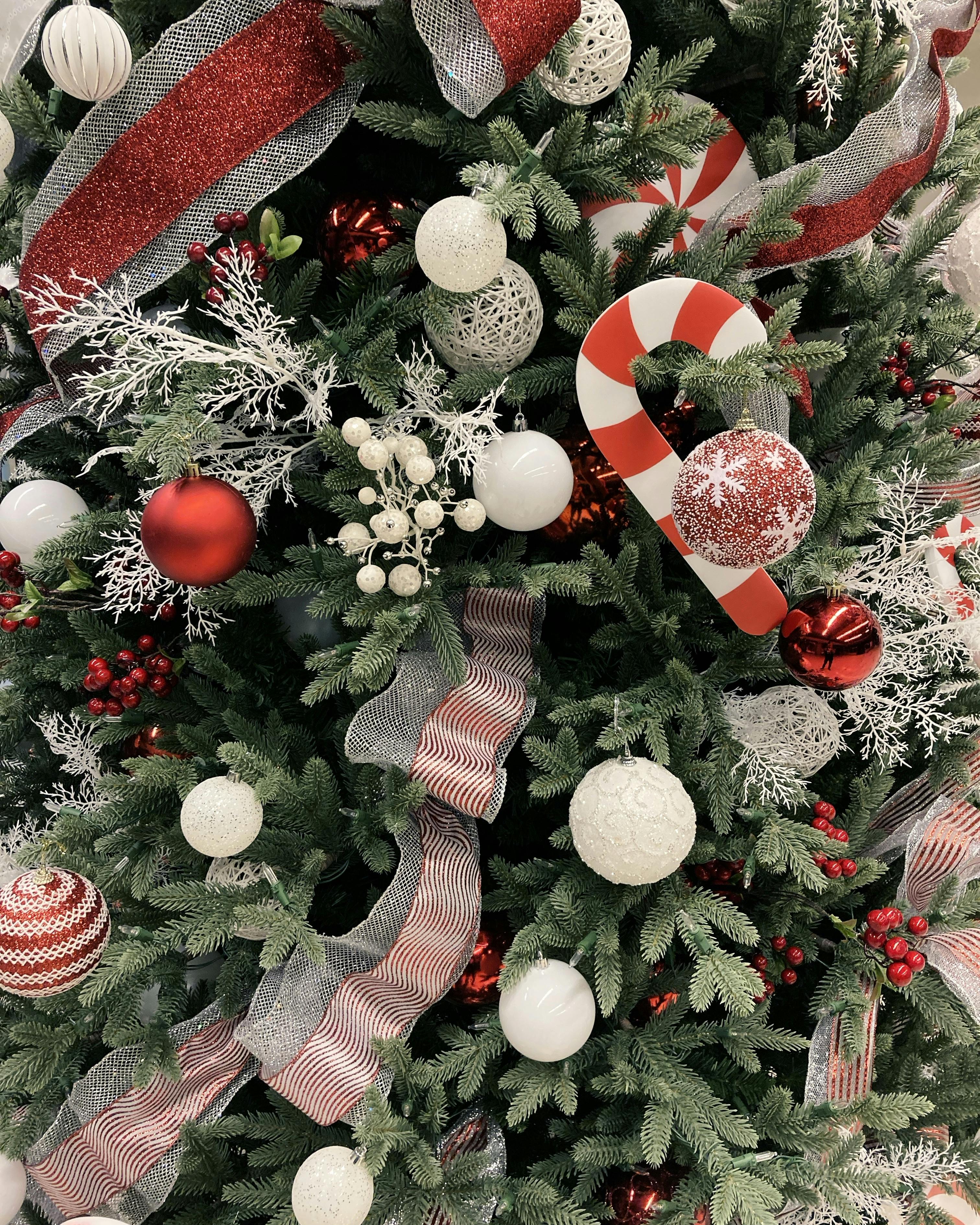 Close Up of Christmas Decorations · Free Stock Photo