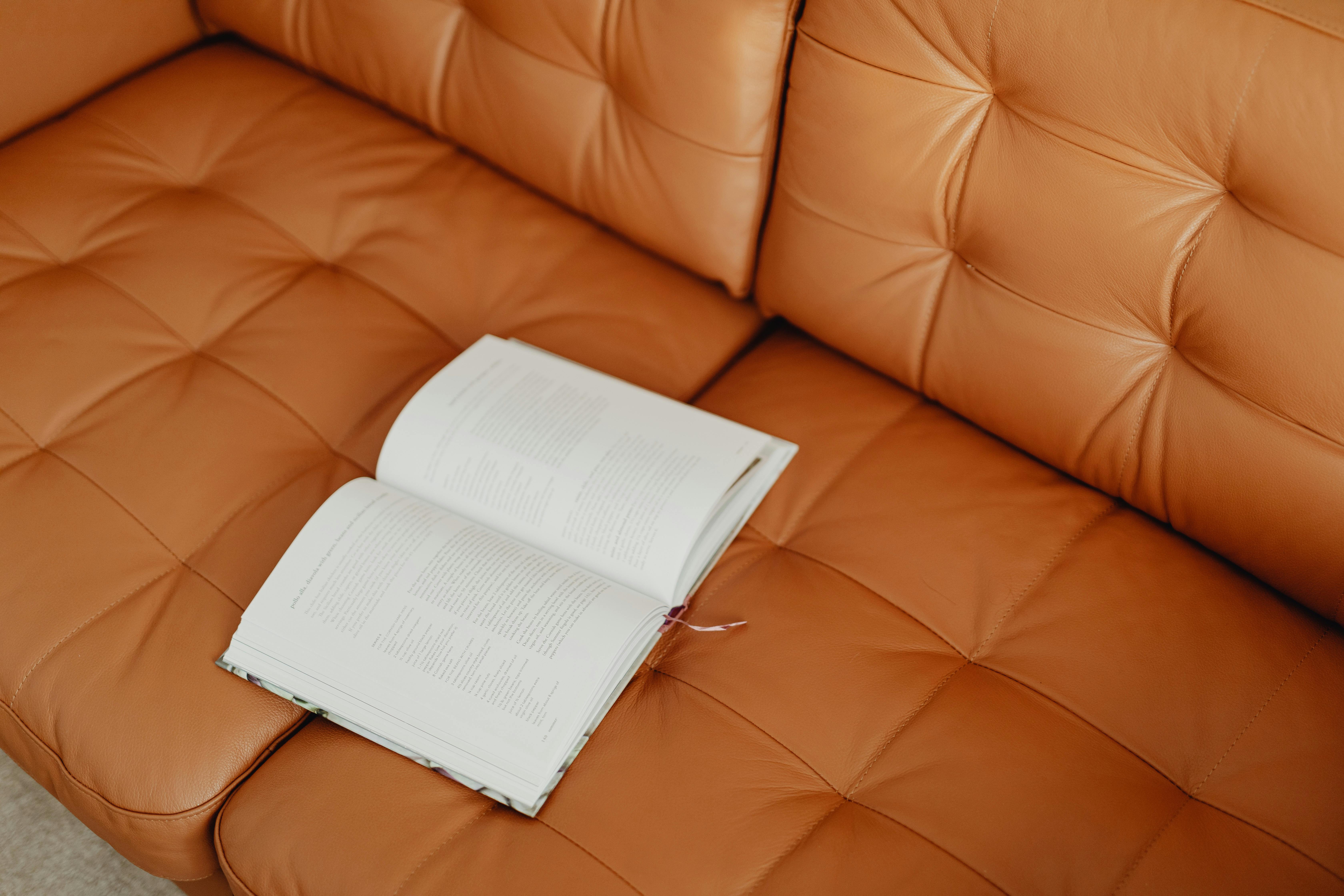 Open Book on the Sofa · Free Stock Photo