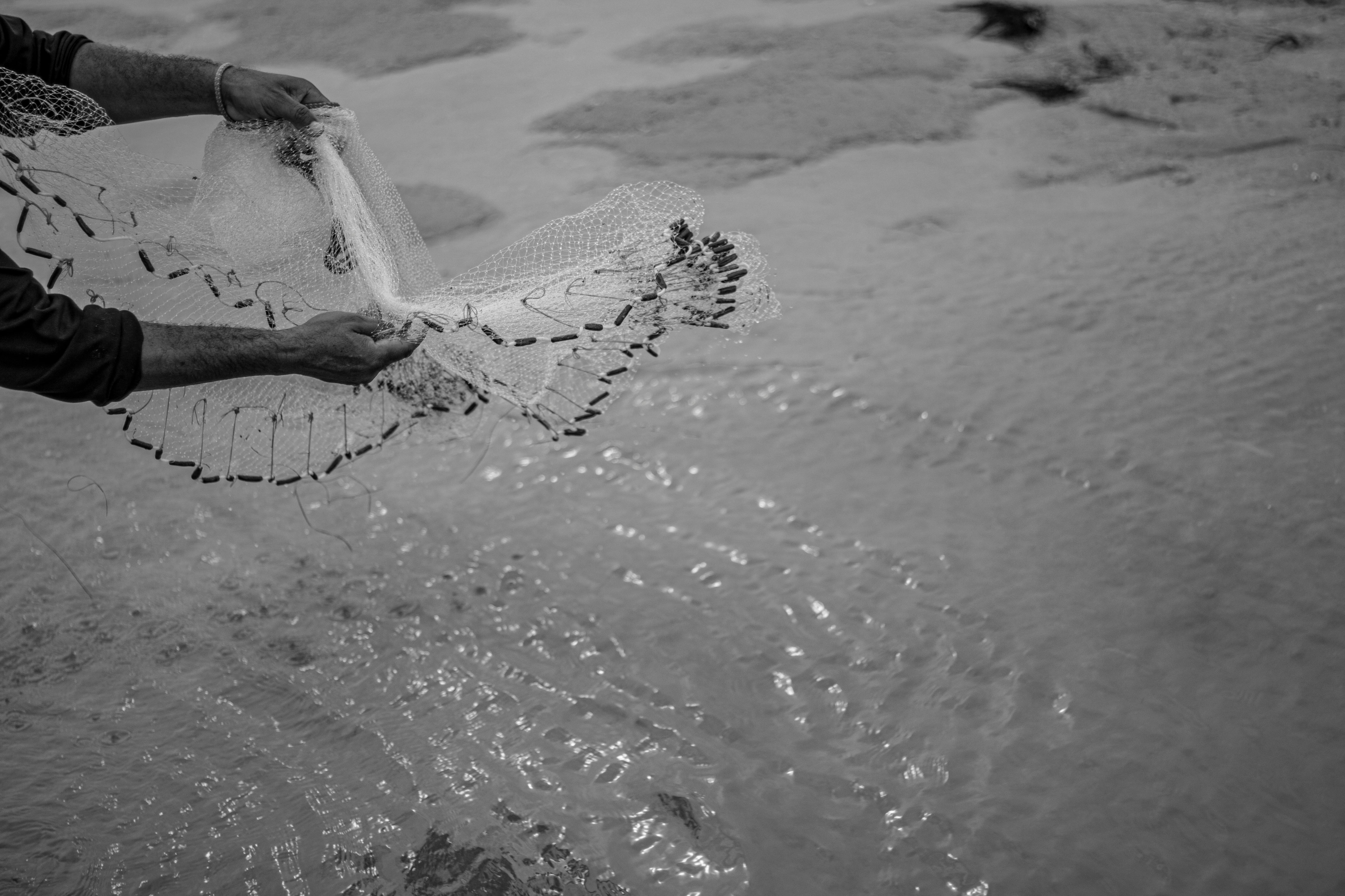Grayscale Photo of Man Throwing a Fishing Net · Free Stock Photo