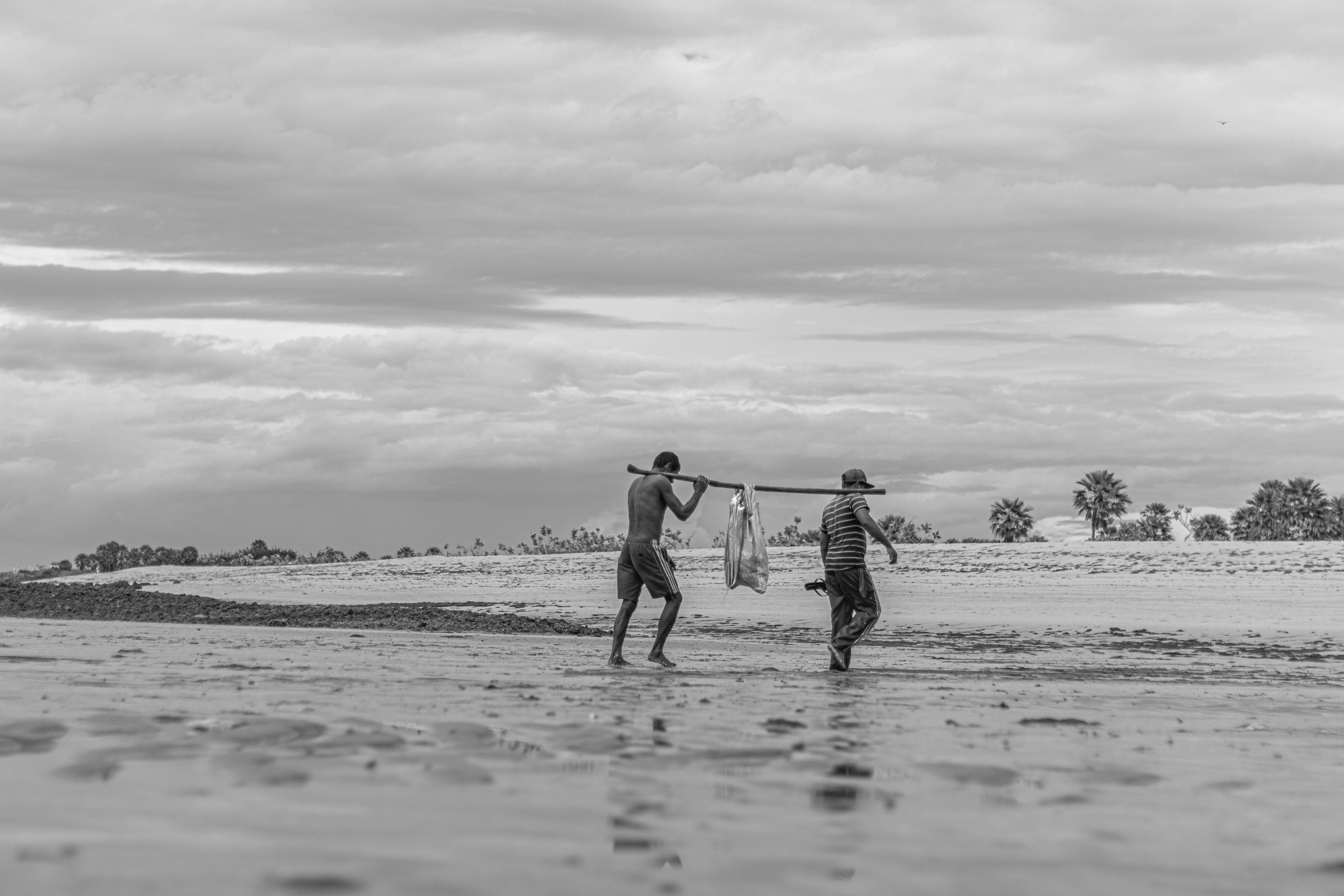 Men Carrying a Rod with a Sack on Their Shoulders · Free Stock Photo