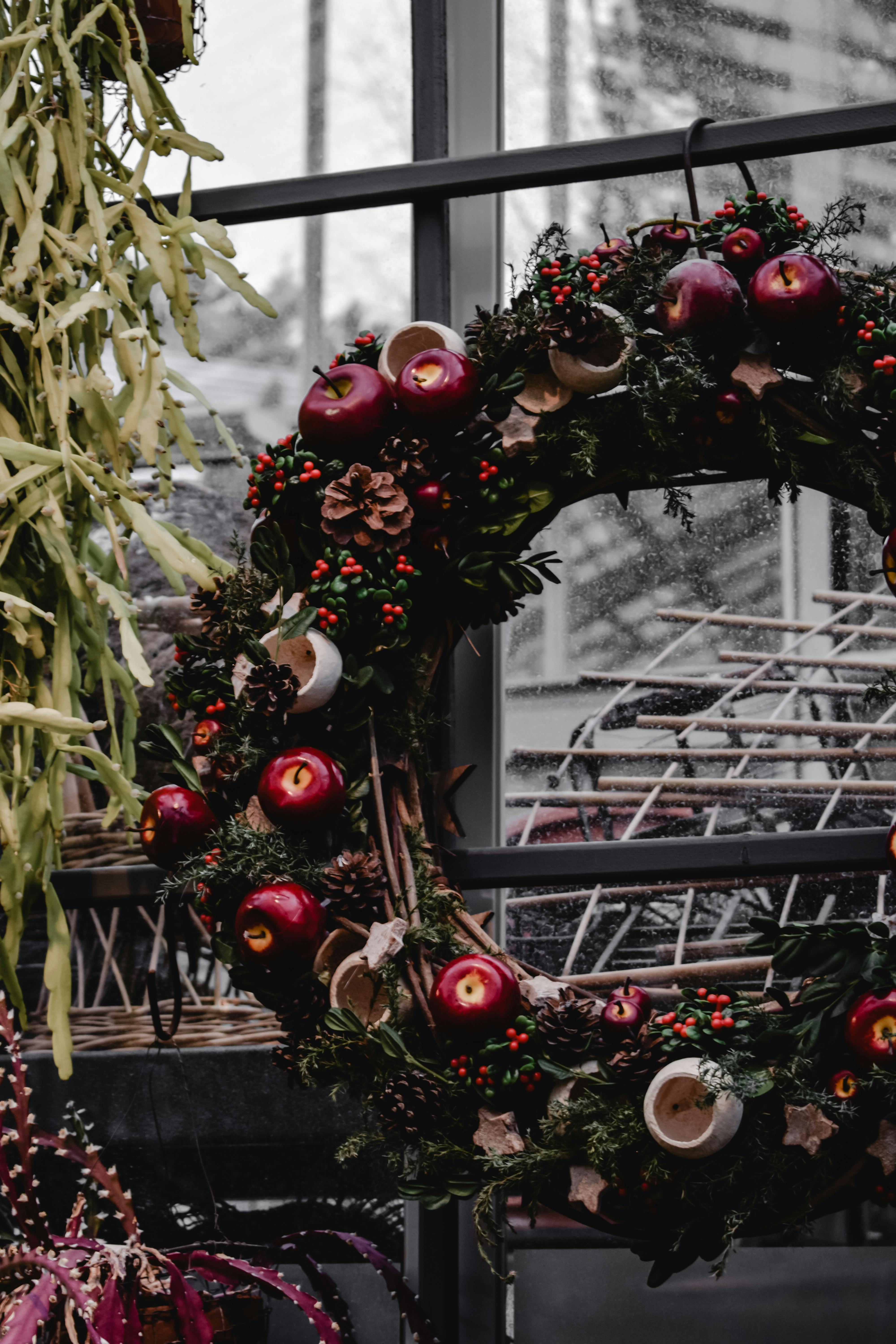 20+ Best Mistletoe Photos · 100% Free Download · Pexels Stock Photos