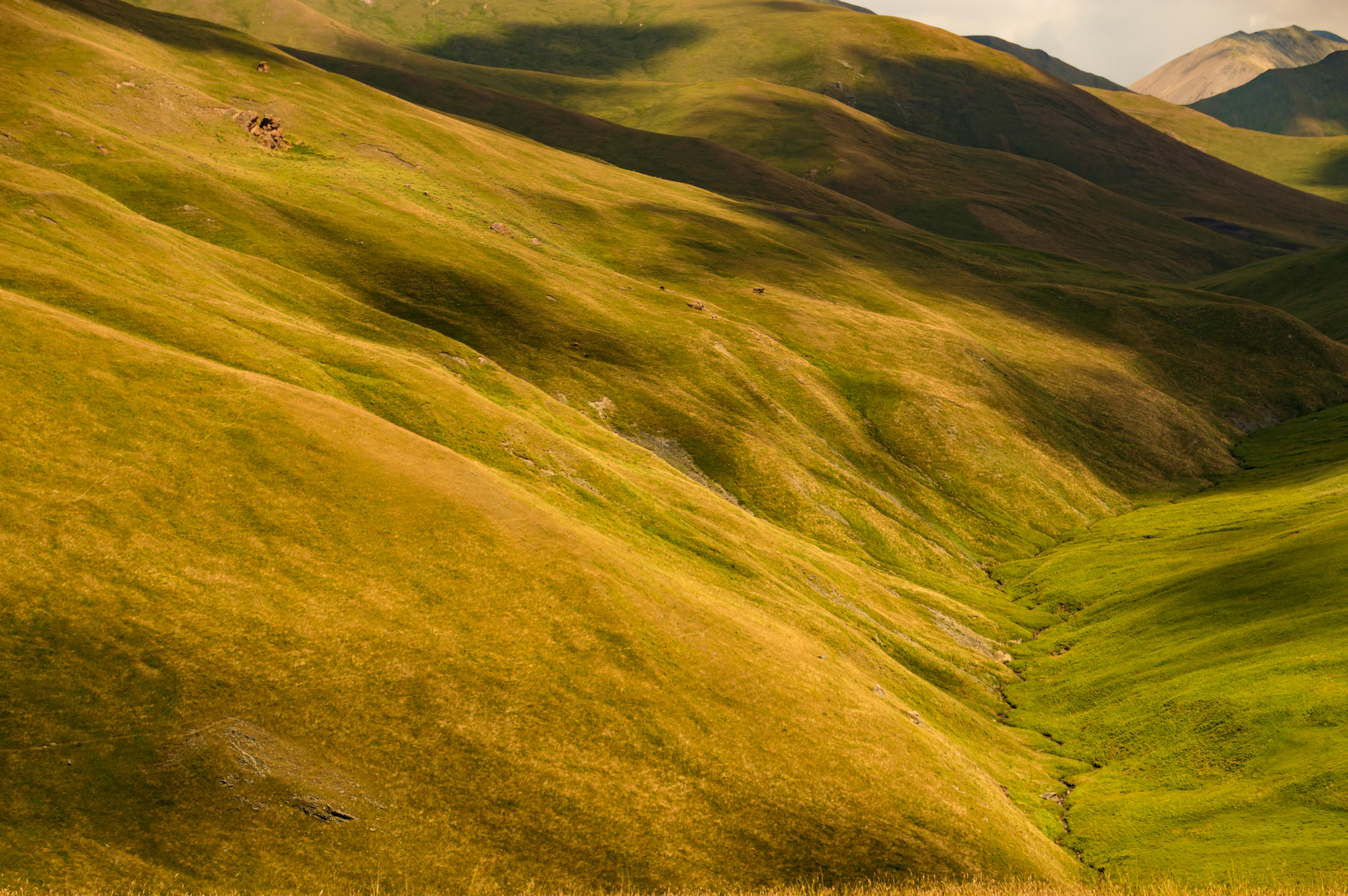 Green Grass Hill · Free Stock Photo