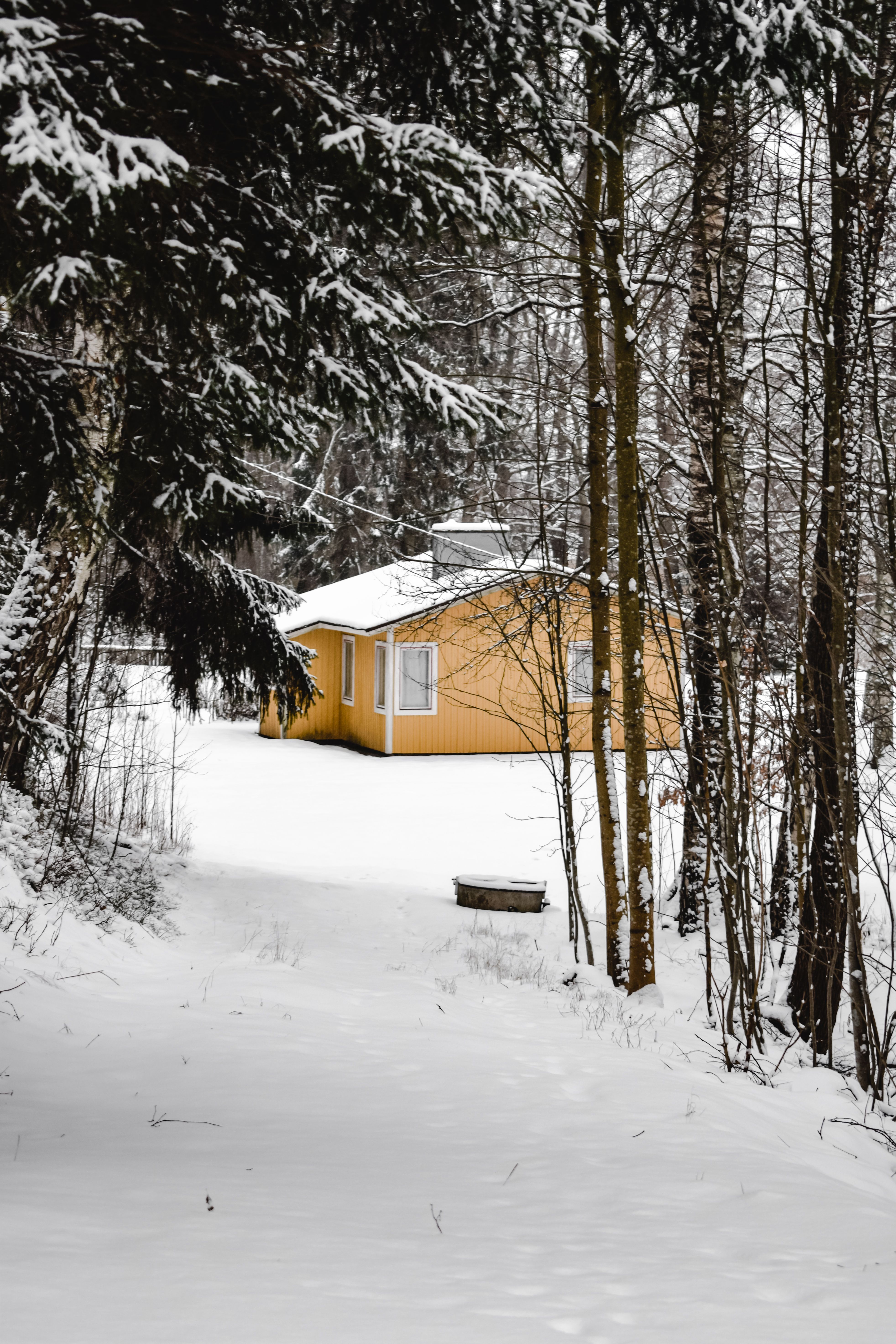 A House in the Forest with Snow · Free Stock Photo