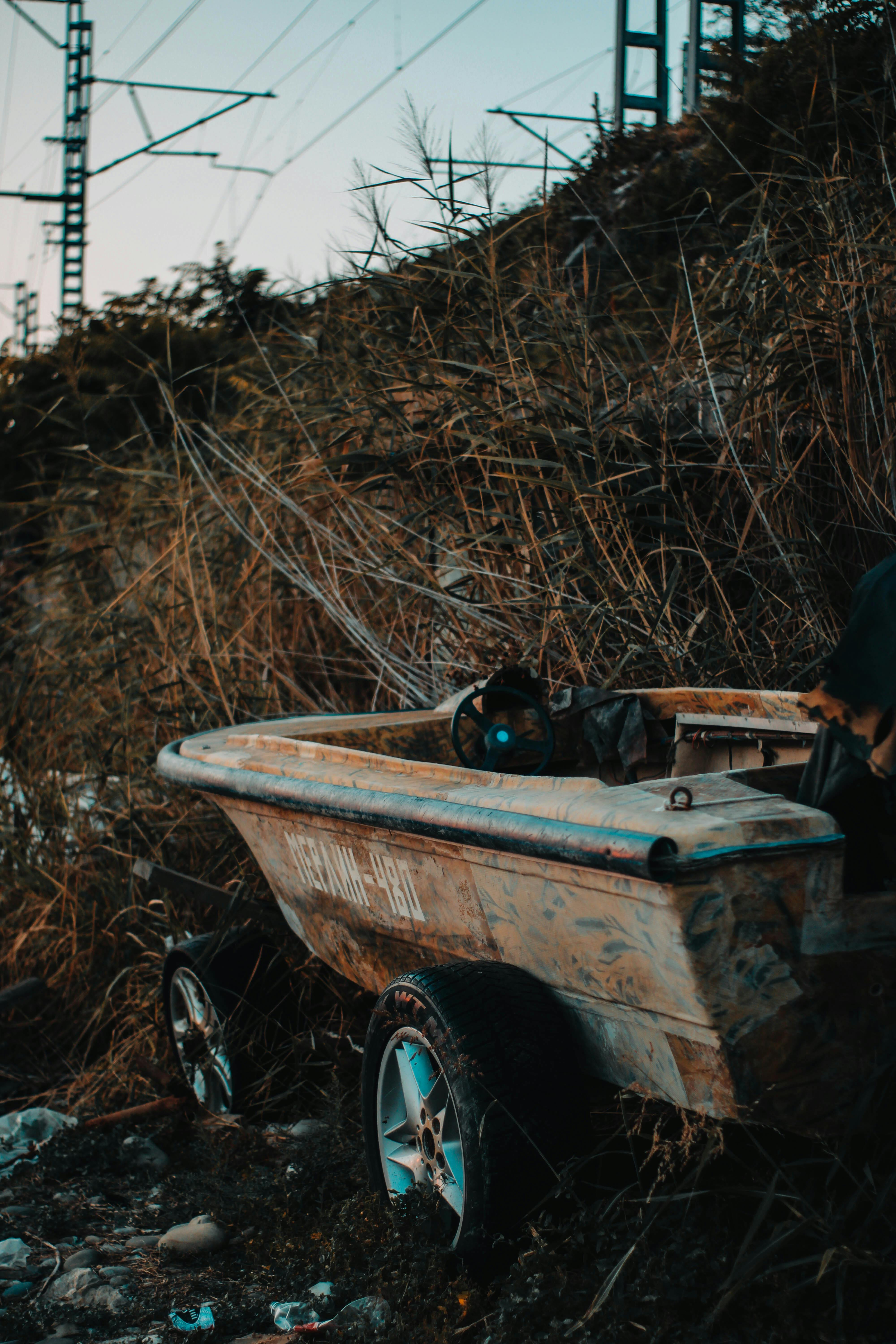 Reeds De Transport Photos, Download The BEST Free Reeds De Transport ...