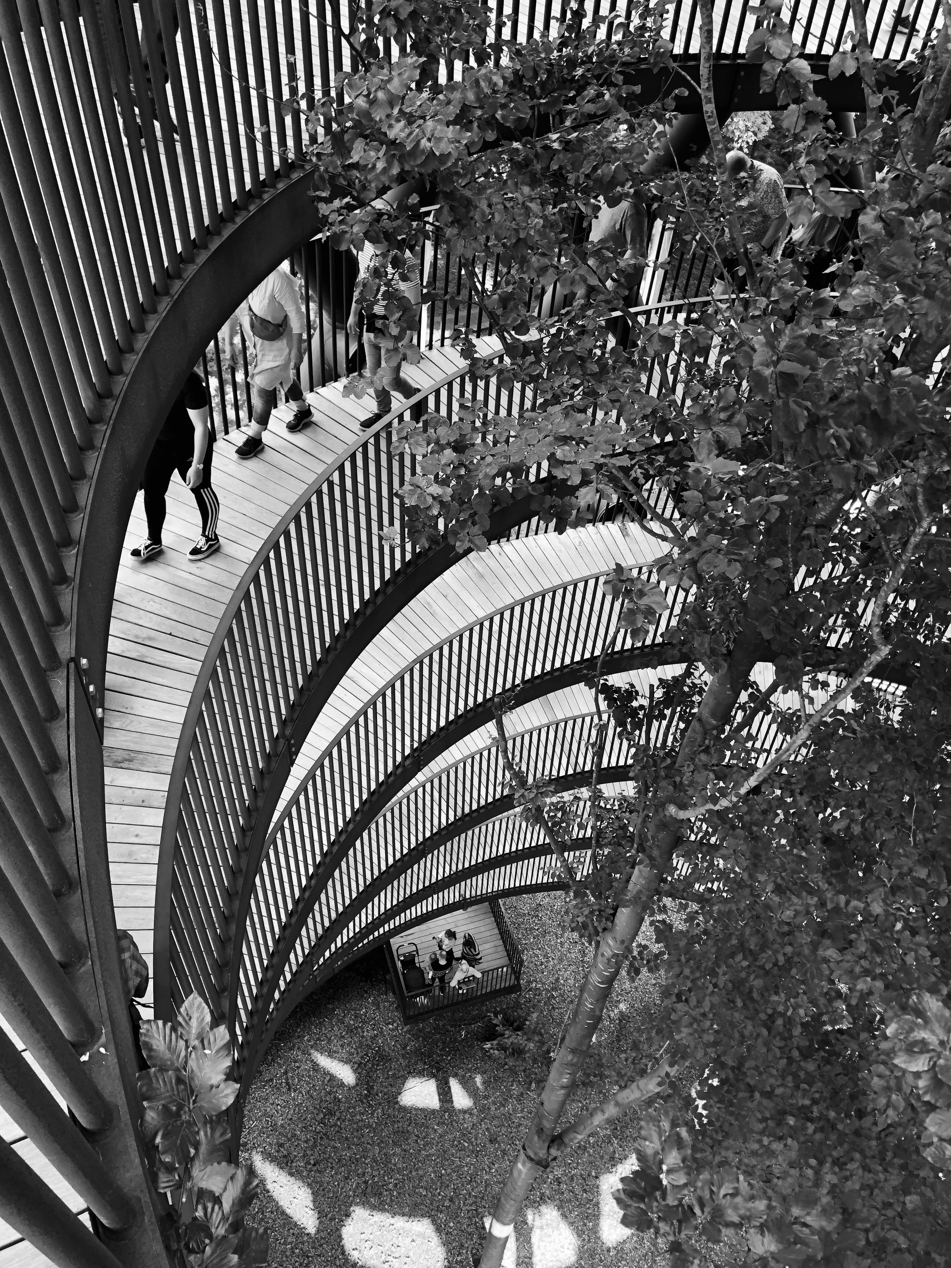 Camp Pattern Photos, Download The BEST Free Camp Pattern Stock Photos ...