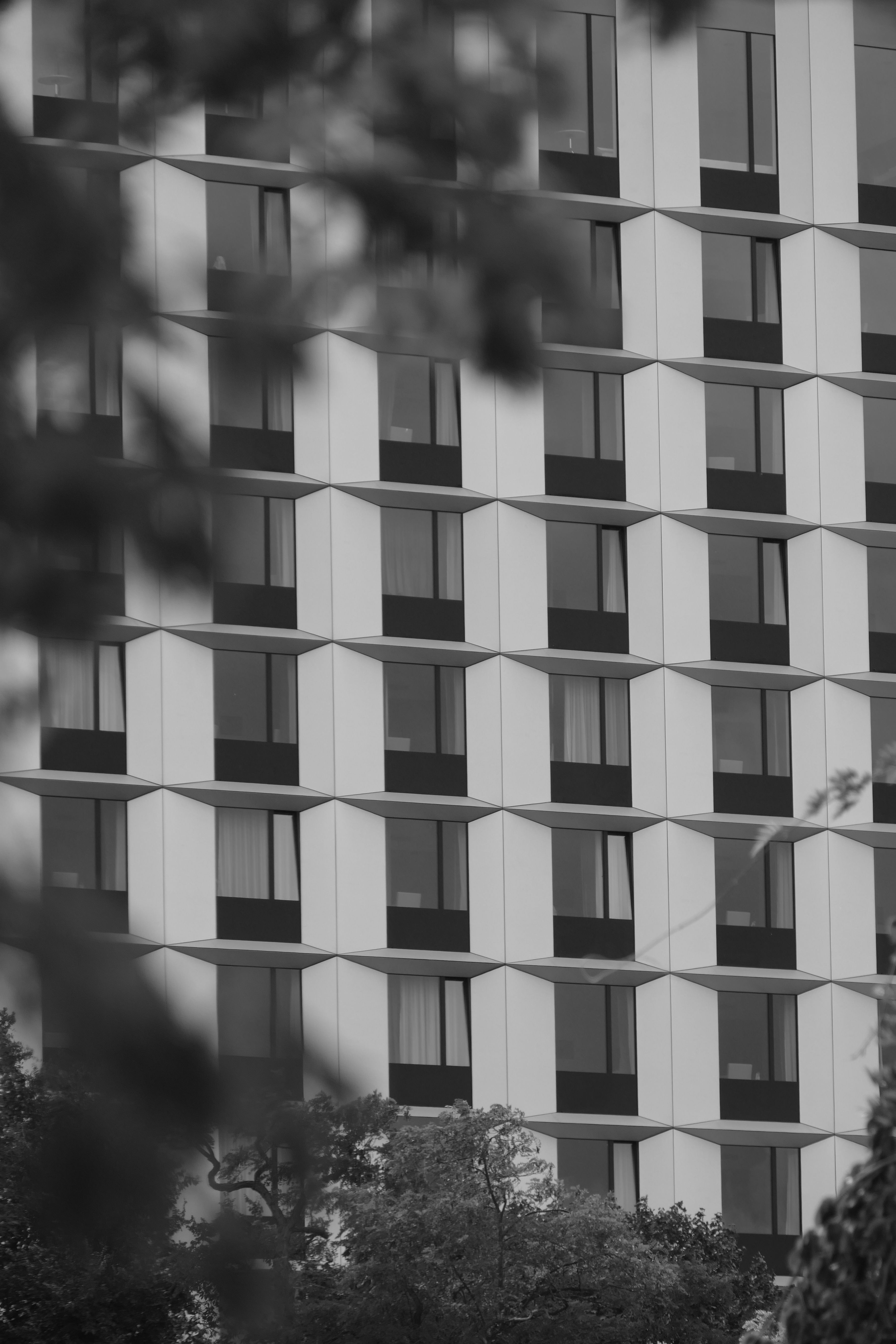 Grayscale Photo of a Building with Glass Windows · Free Stock Photo