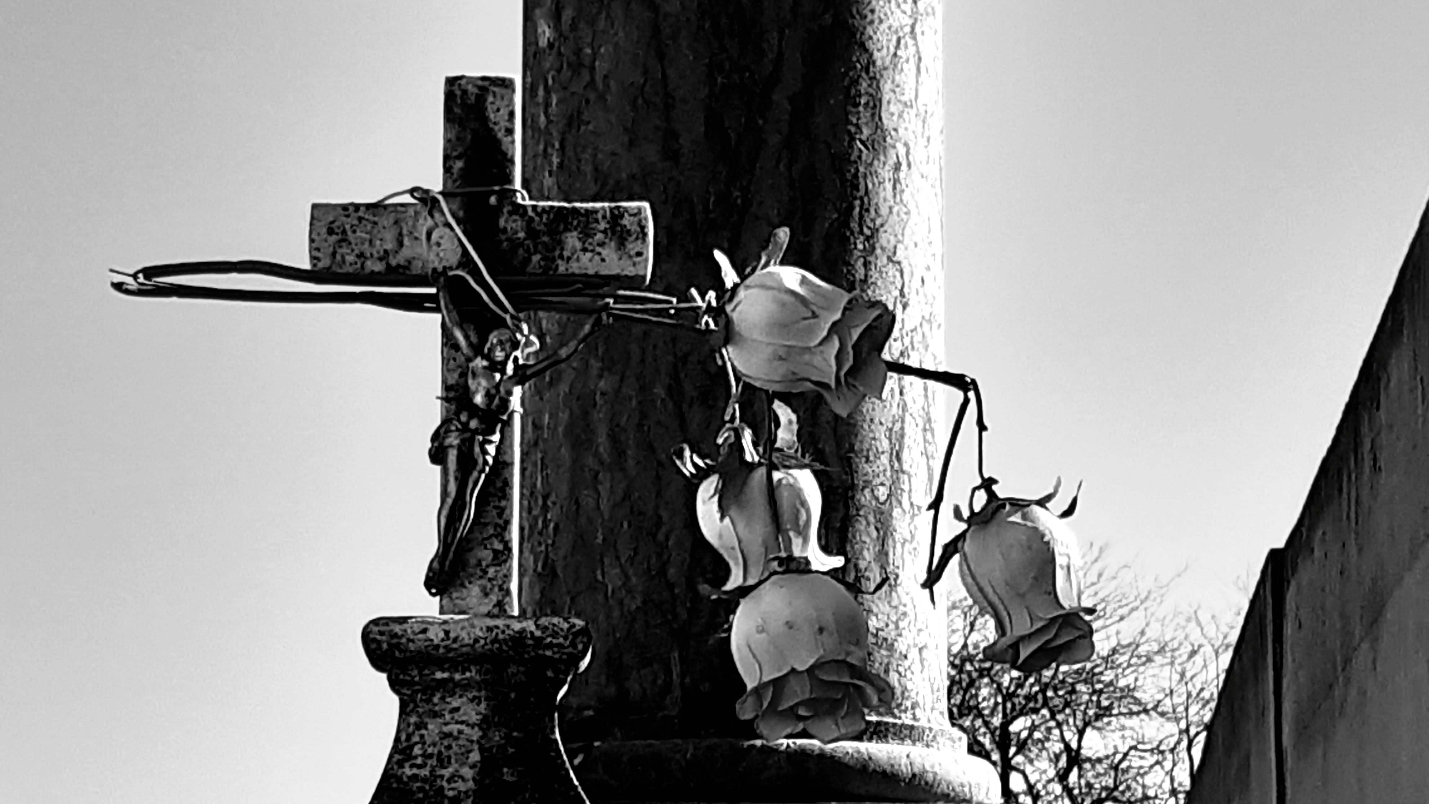 Anabela Fernandes - Photography