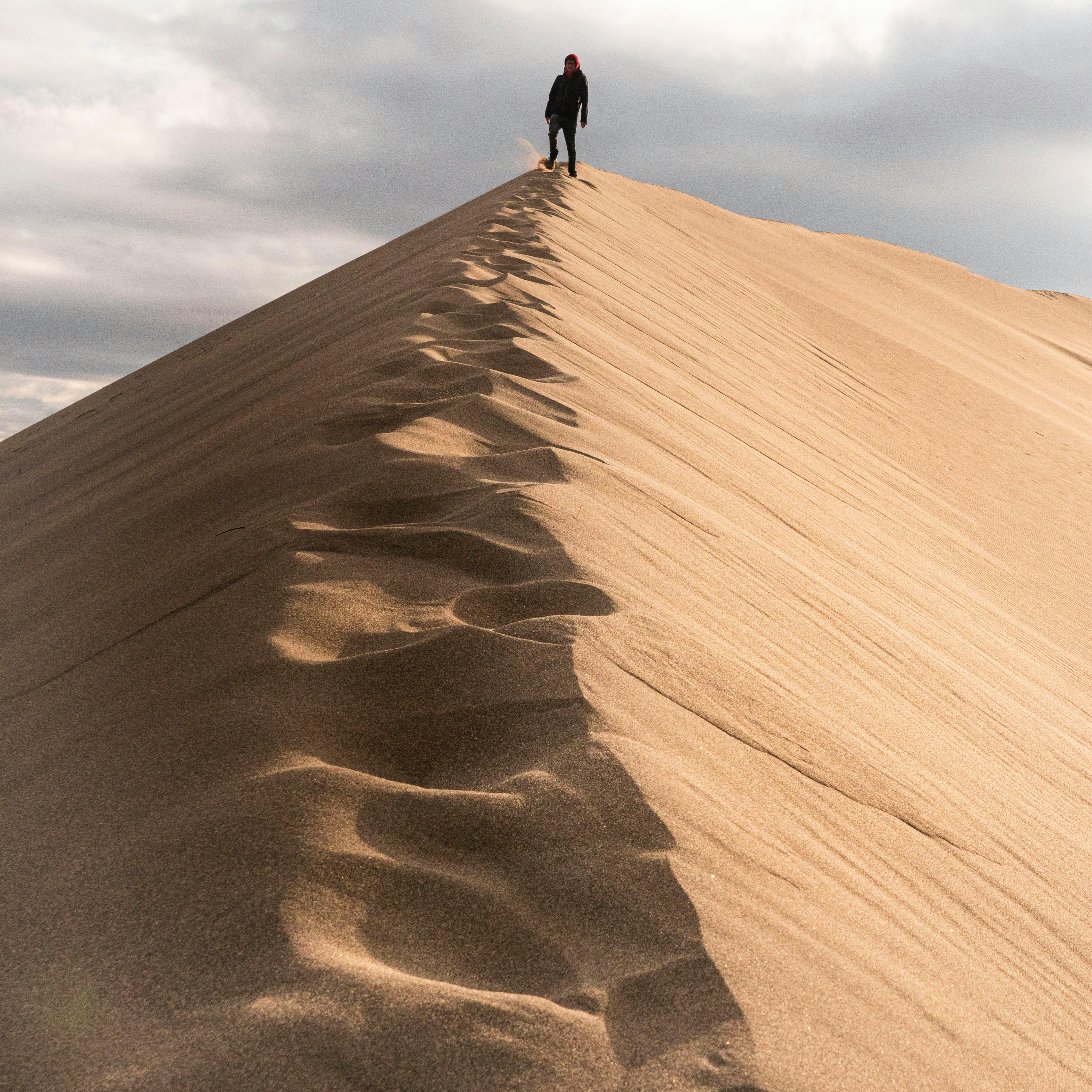 People Working with Sand in Town · Free Stock Photo