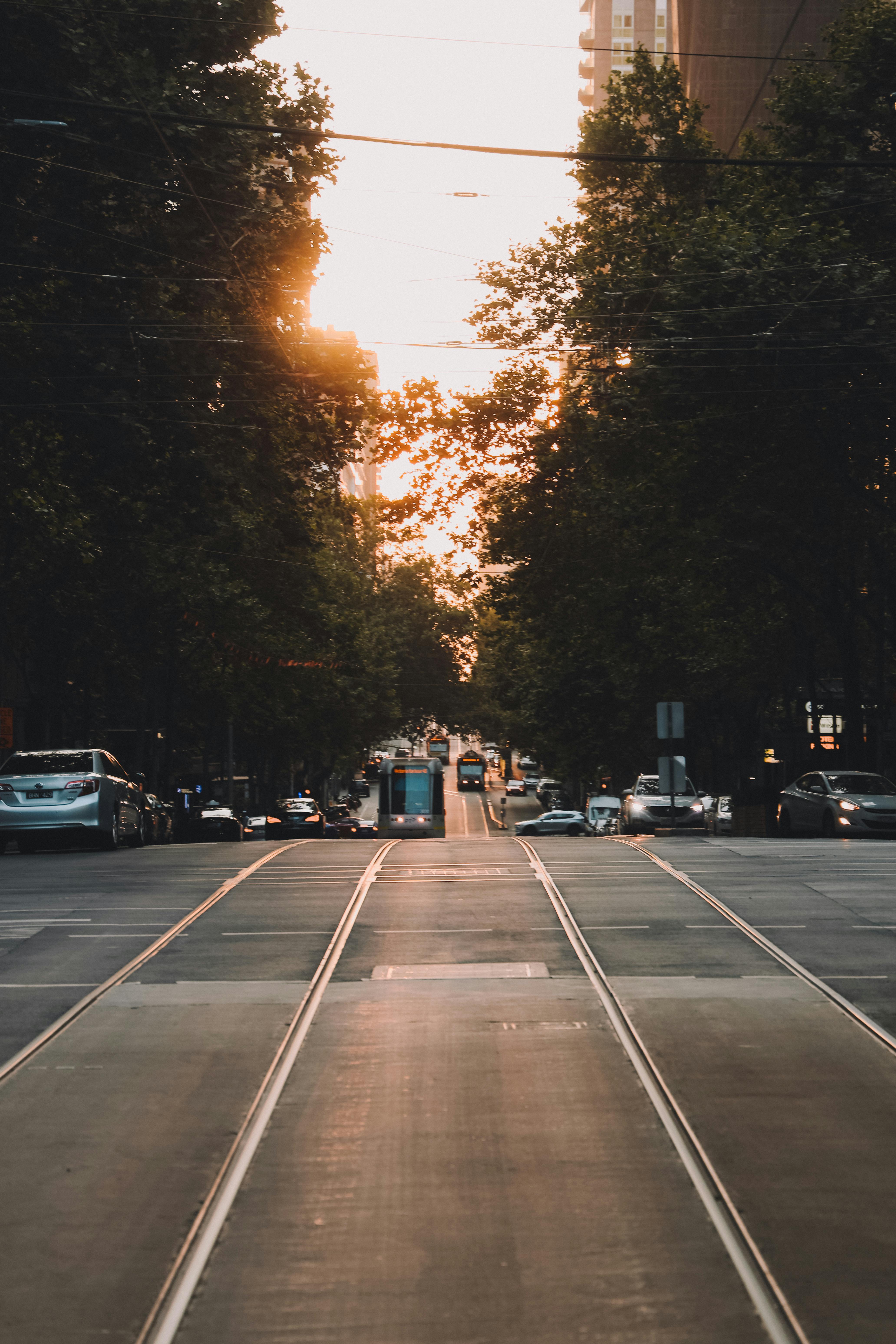 Cars on Road during Sunset · Free Stock Photo