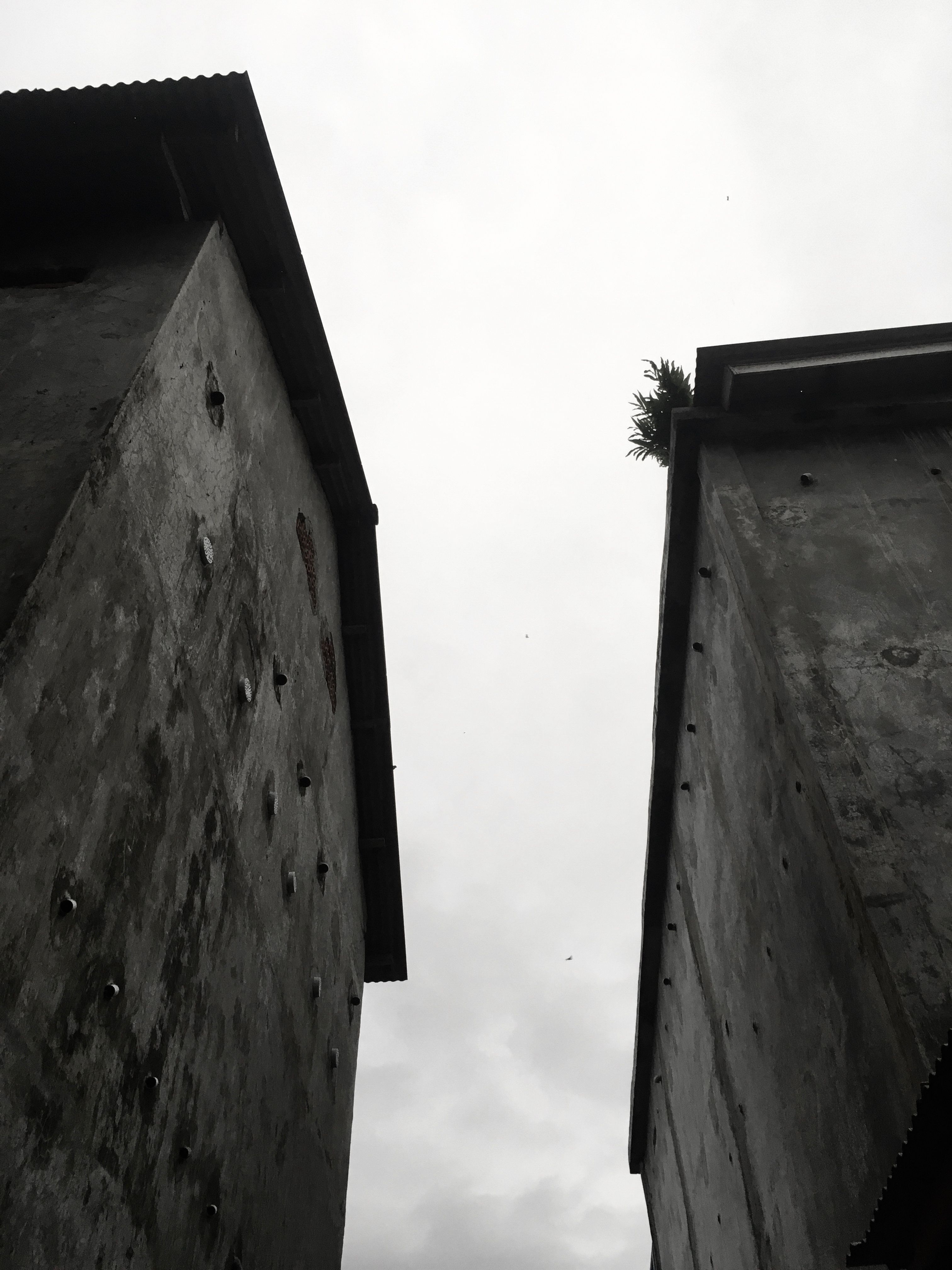 Old Dull Photos, Download The BEST Free Old Dull Stock Photos & HD Images