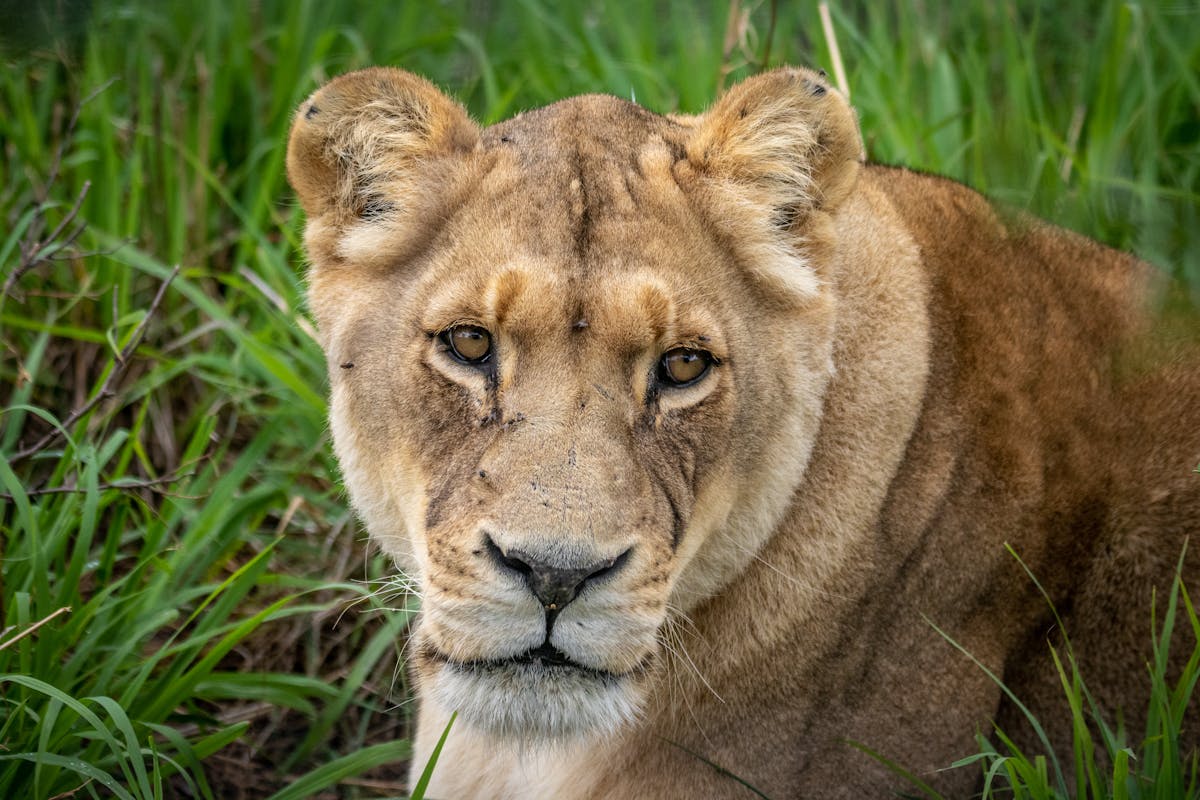 Big Bush Women Photos, Download The BEST Free Big Bush Women Stock ...