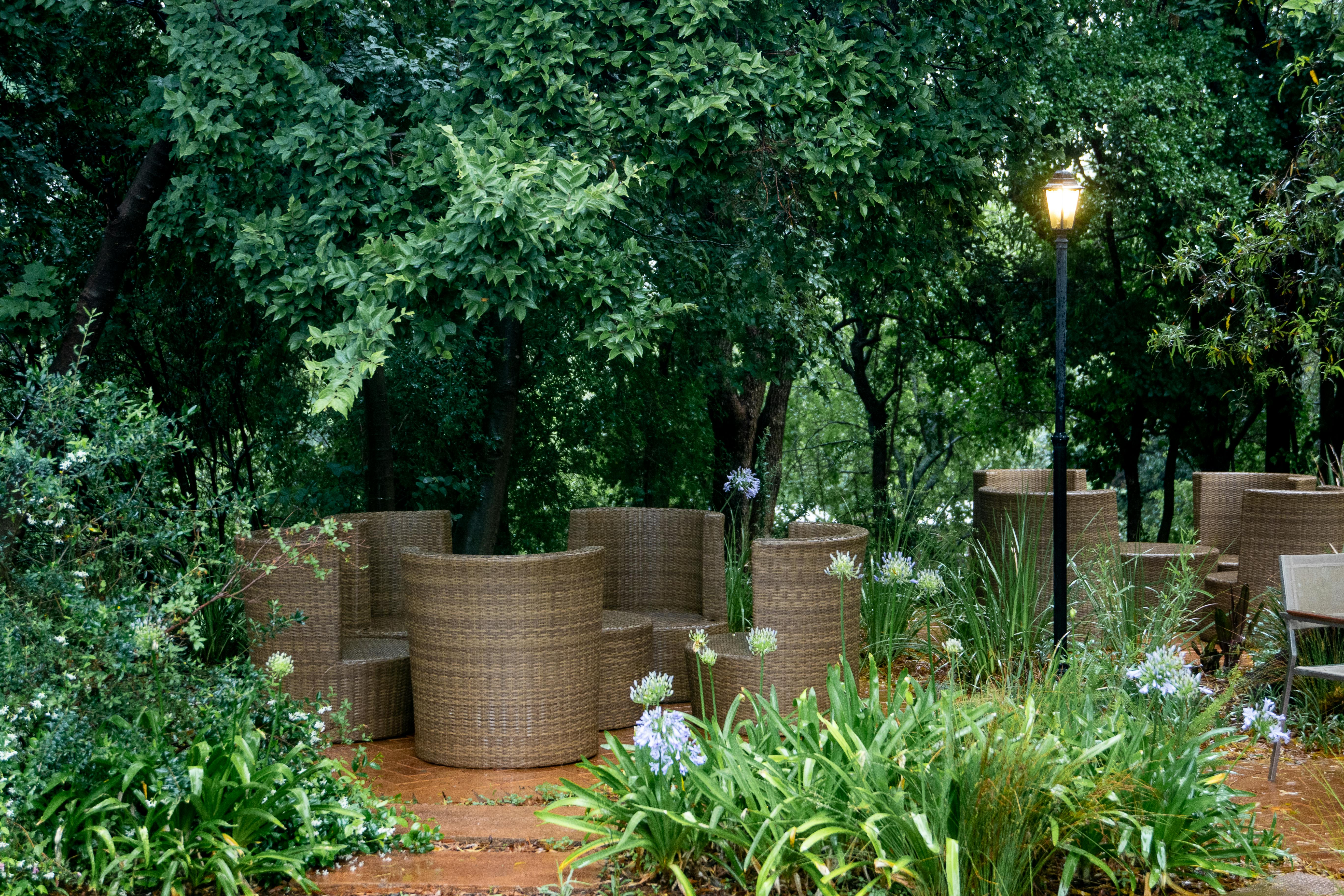 Green Trees Near the Table · Free Stock Photo