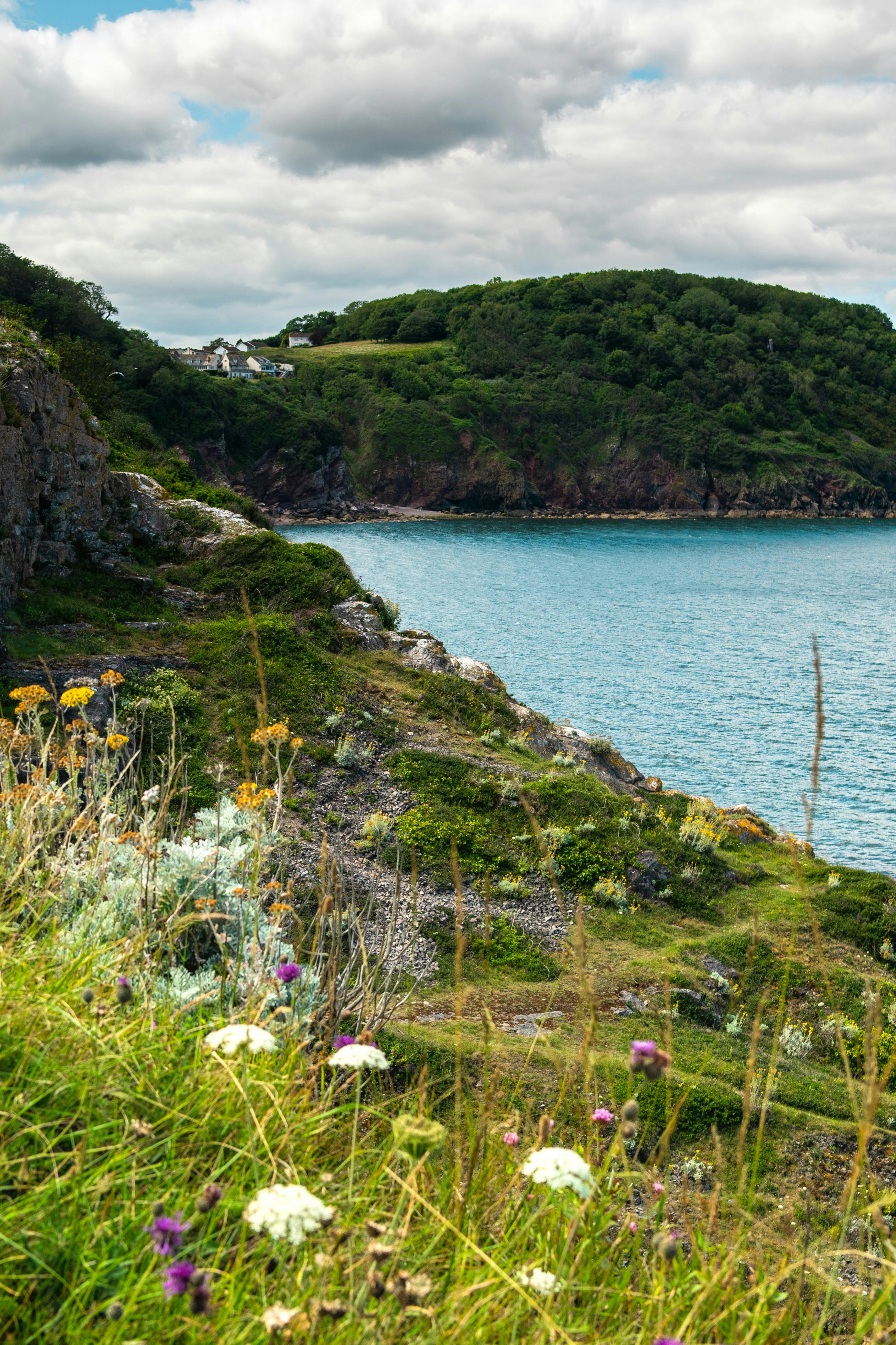 50+ Best Devon Photos · 100% Free Download · Pexels Stock Photos