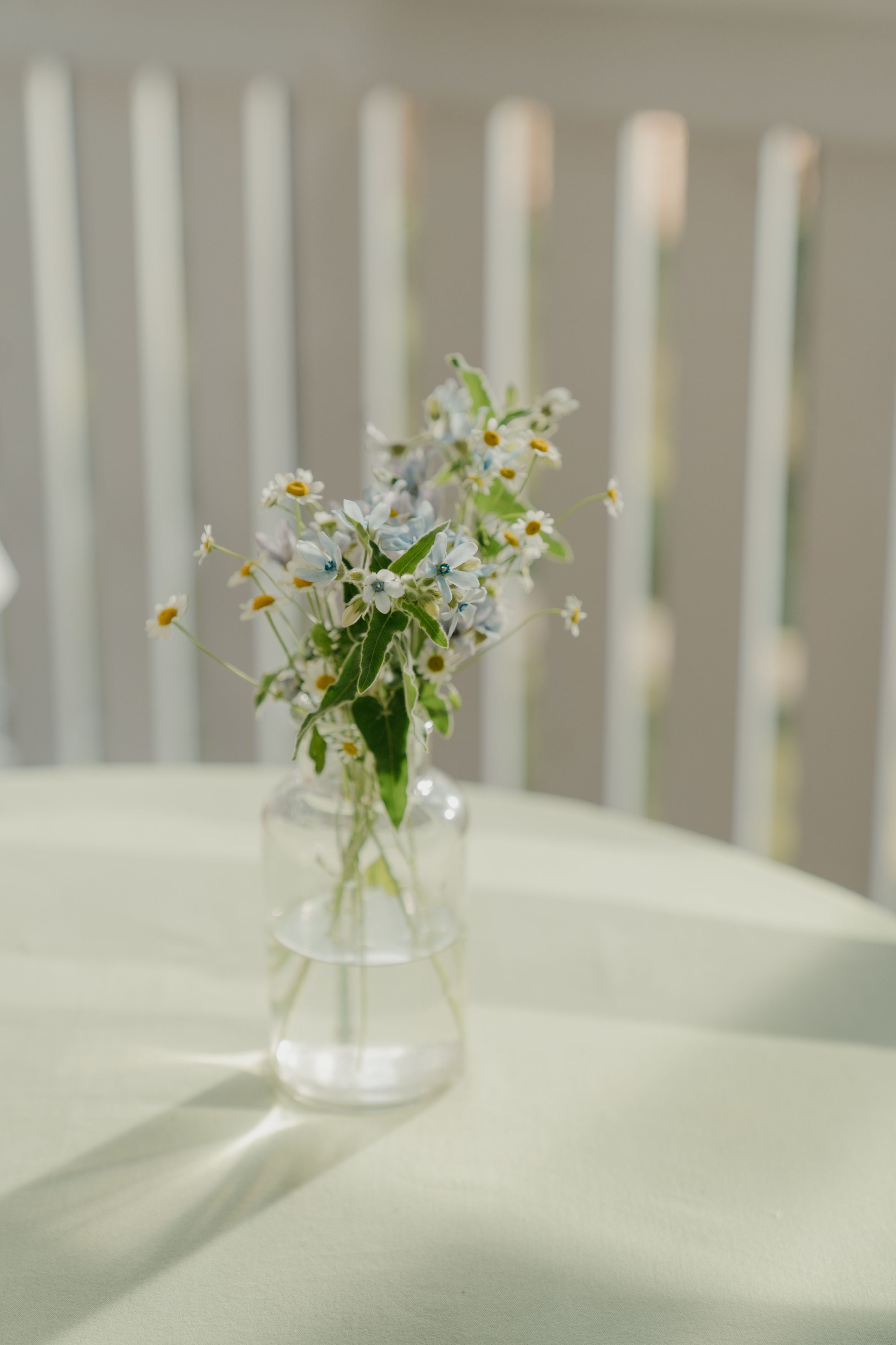 Small Flowers Photos, Download The BEST Free Small Flowers Stock Photos ...
