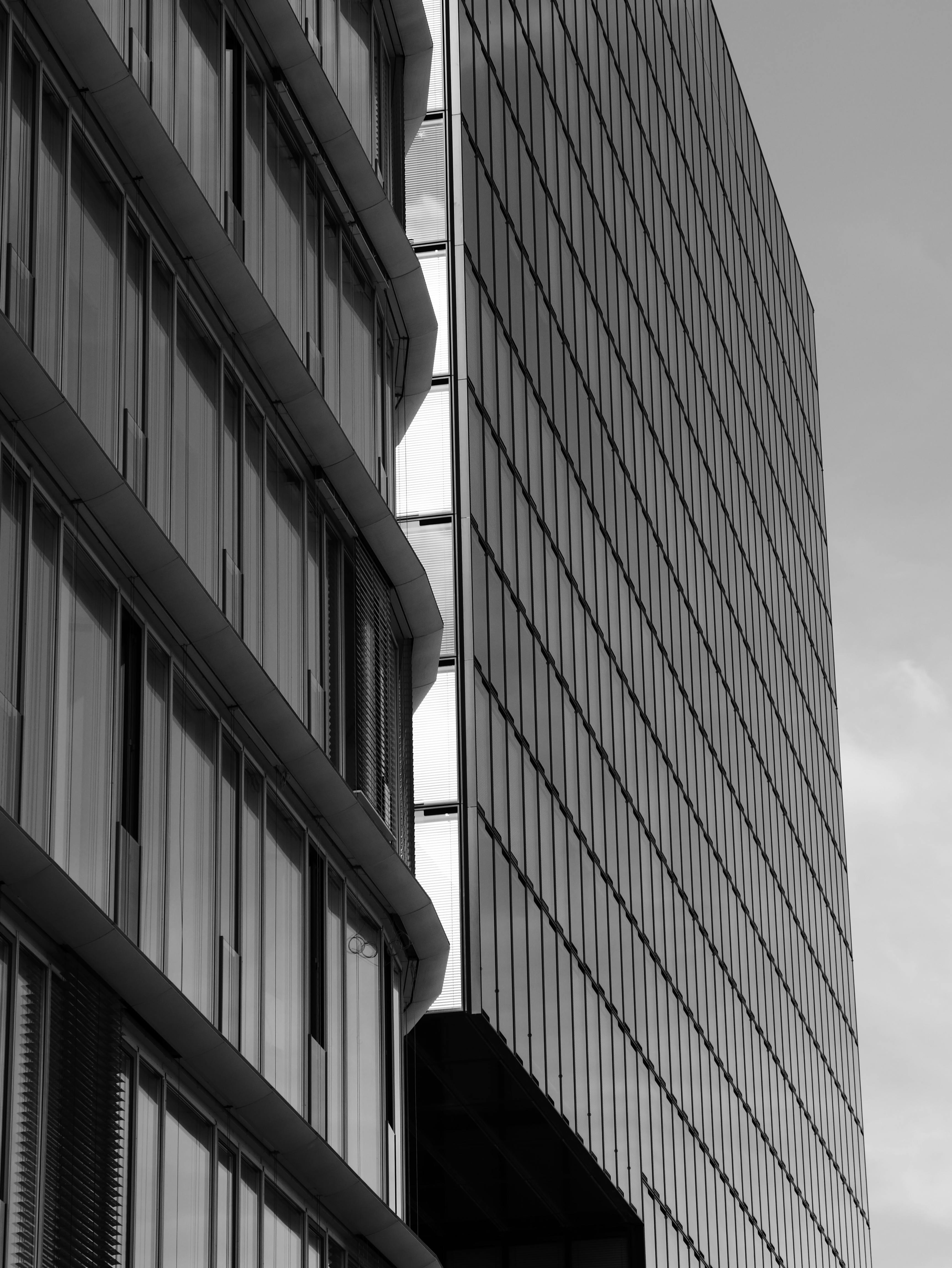 Grayscale Photo of Buildings · Free Stock Photo