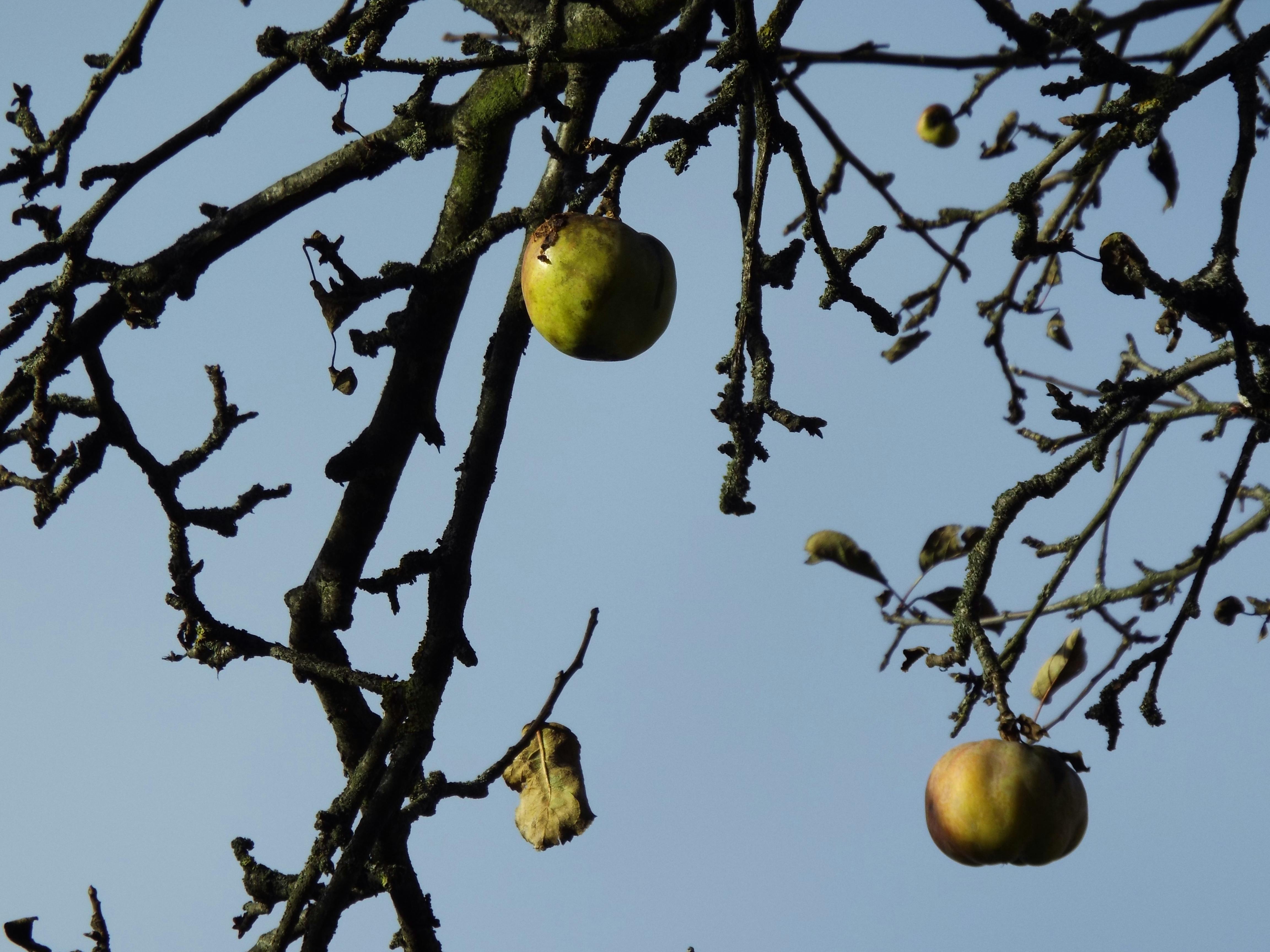 Jan Sperling - Fotografía