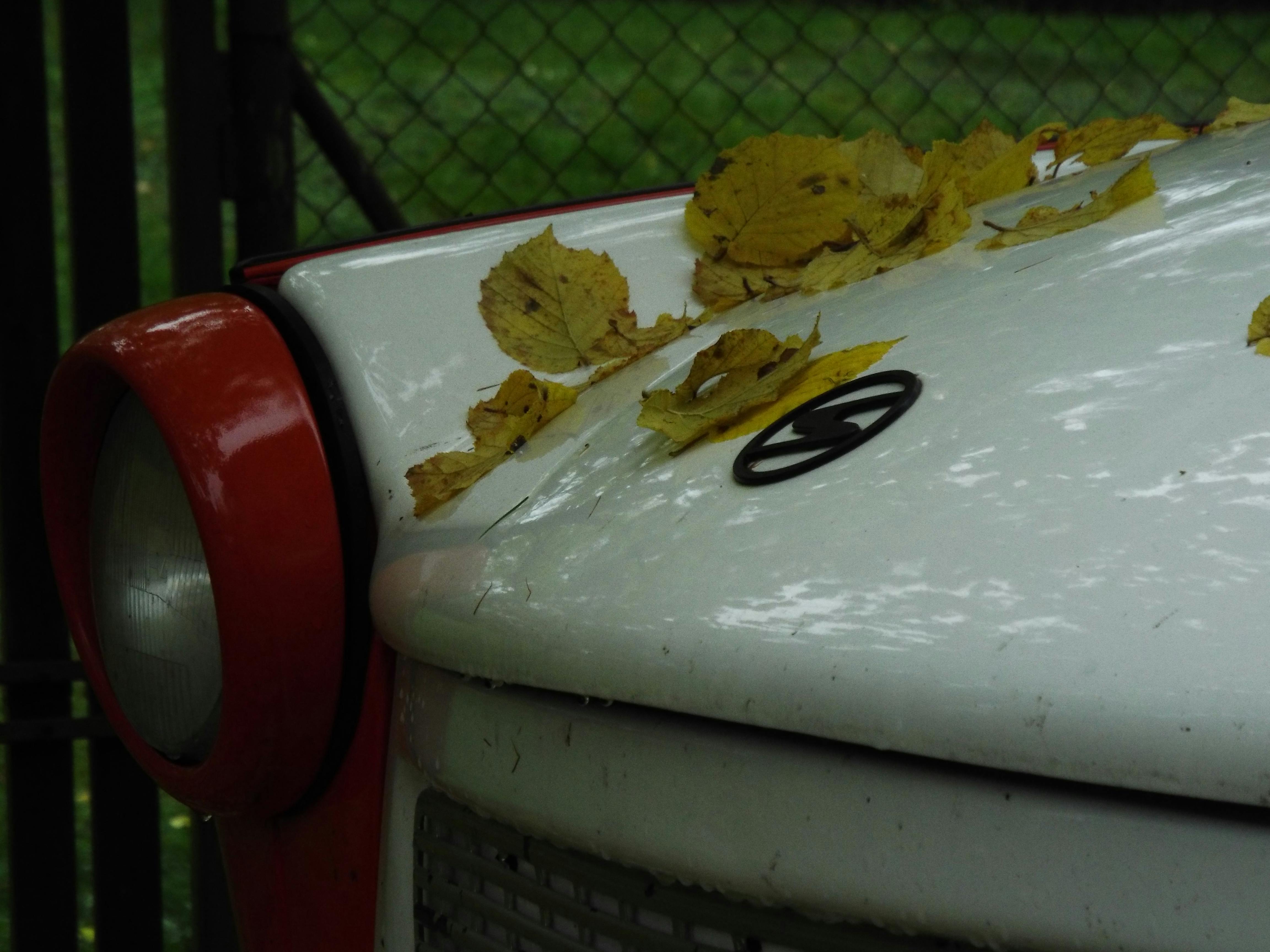 Jan Sperling - Fotografía