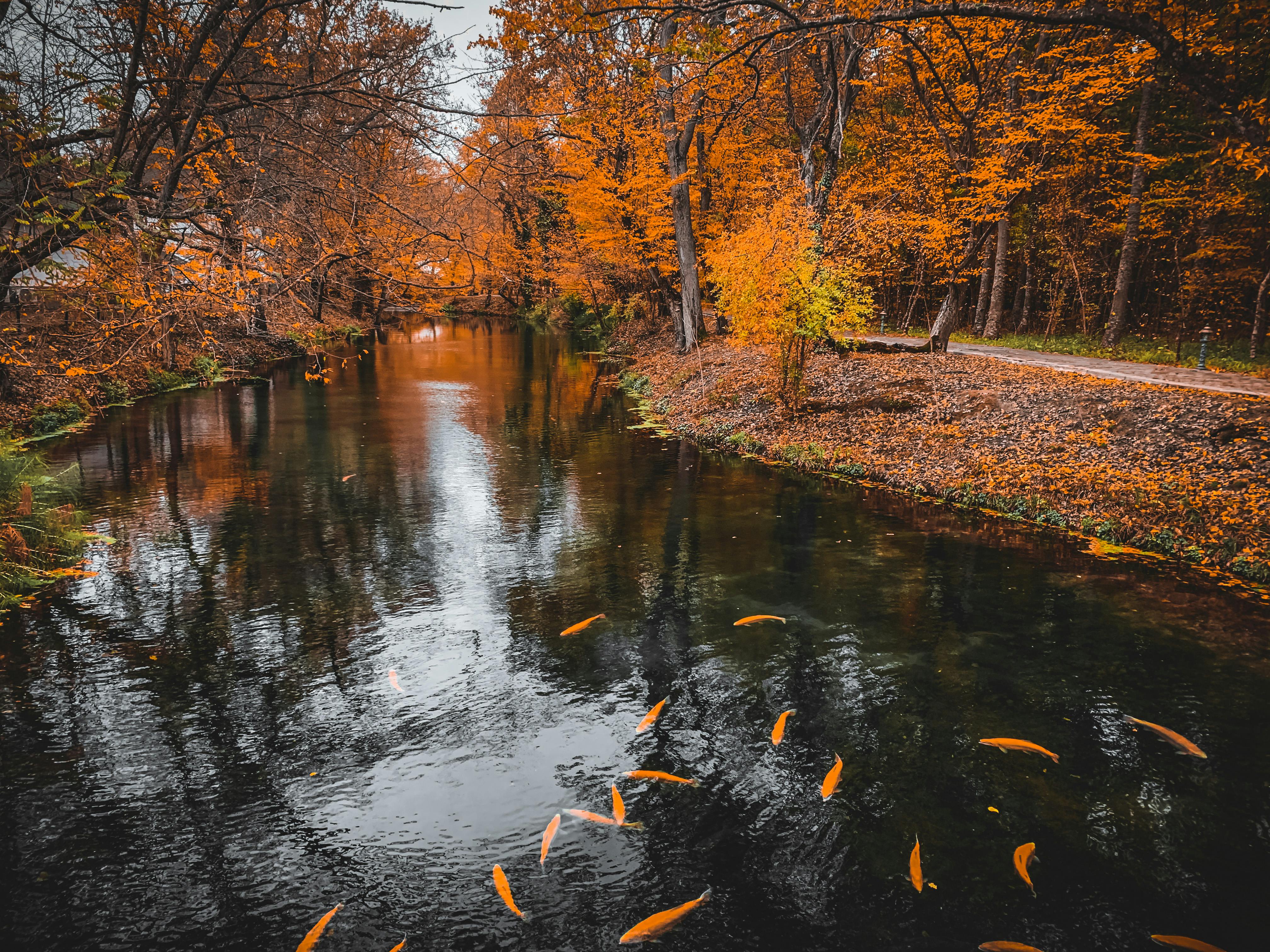 Nabran Photos, Download The BEST Free Nabran Stock Photos & HD Images