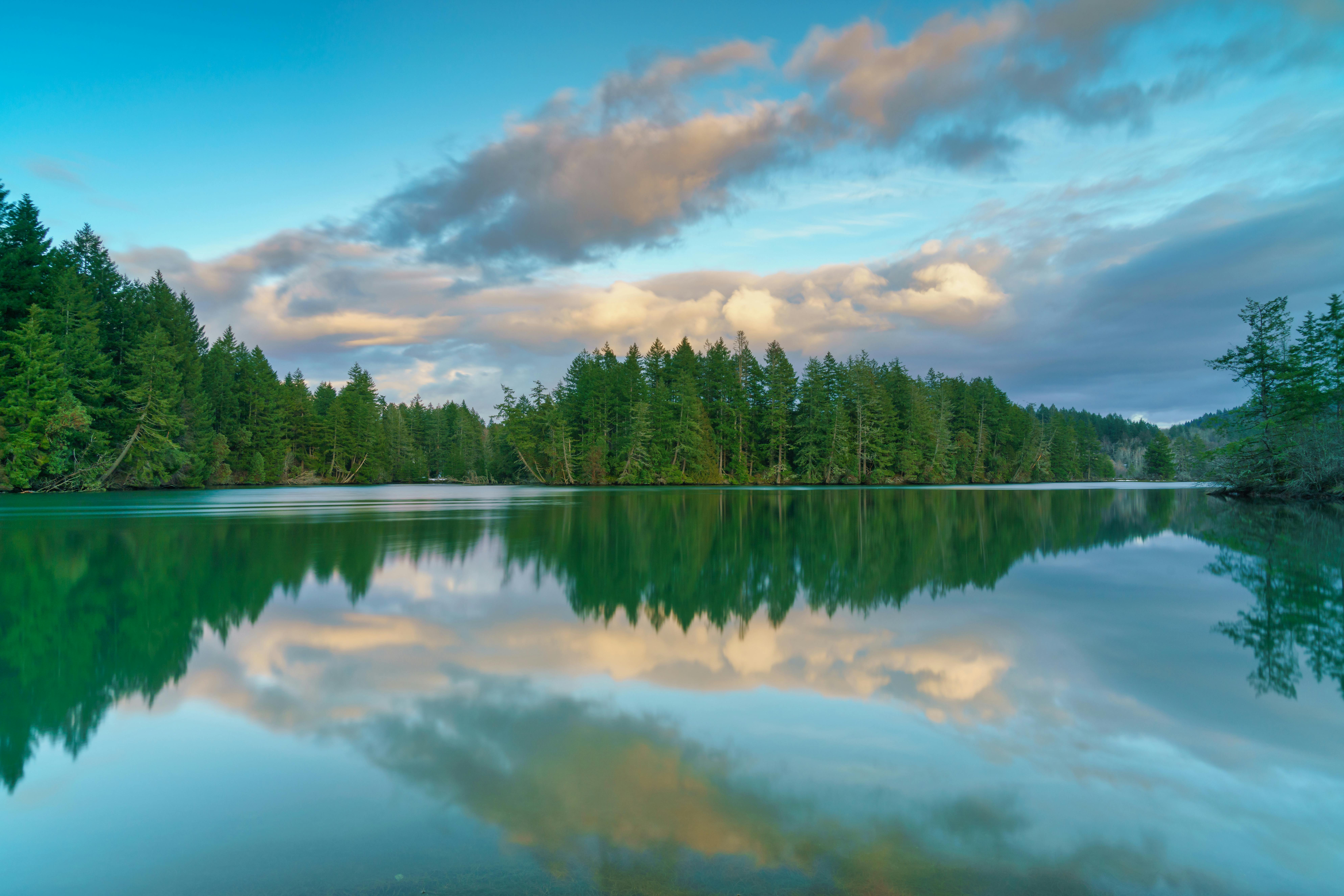 A Lake With Green Trees Under Blue and Cloudy Sky · Free Stock Photo