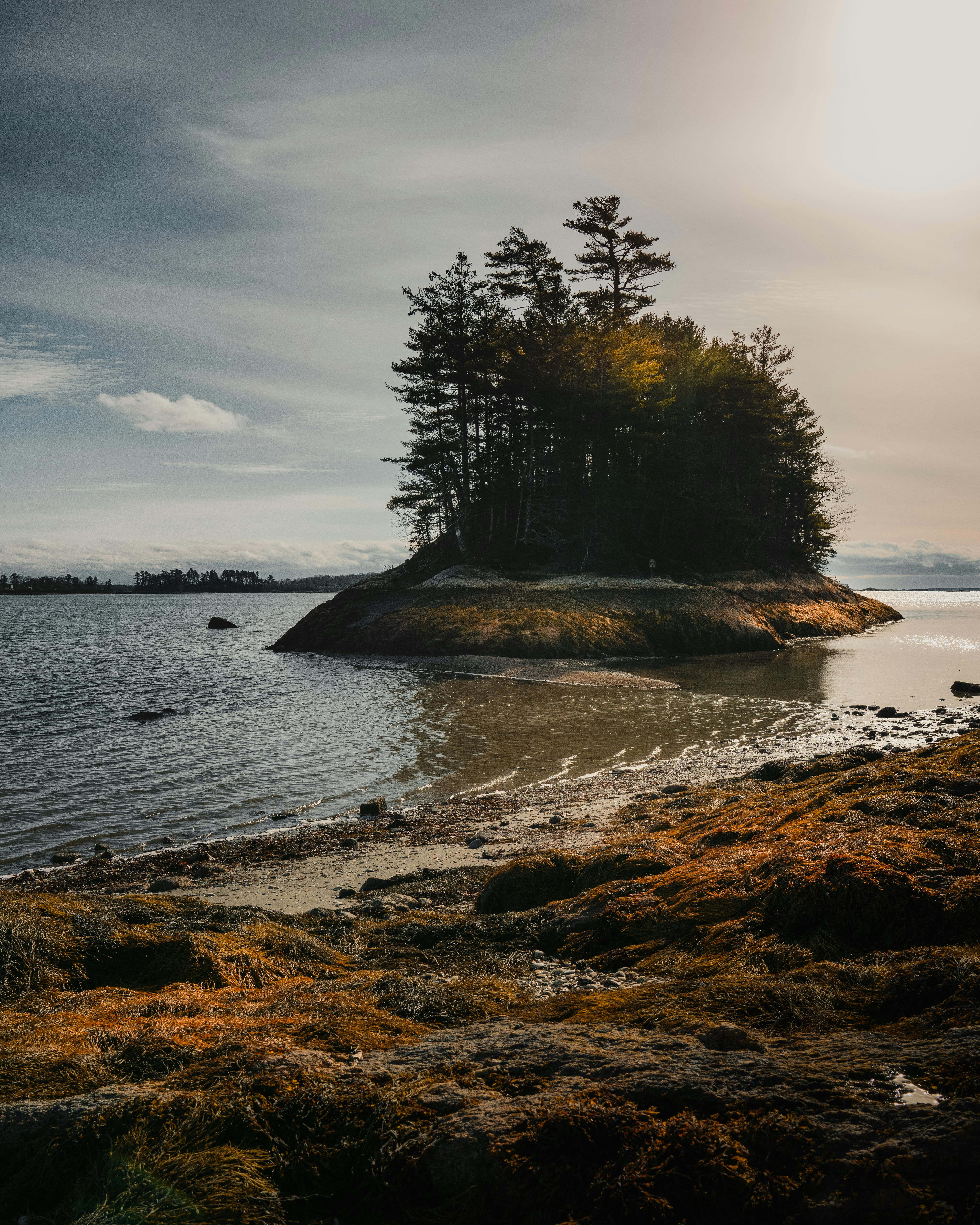 Grassy coast washed by lake with island · Free Stock Photo