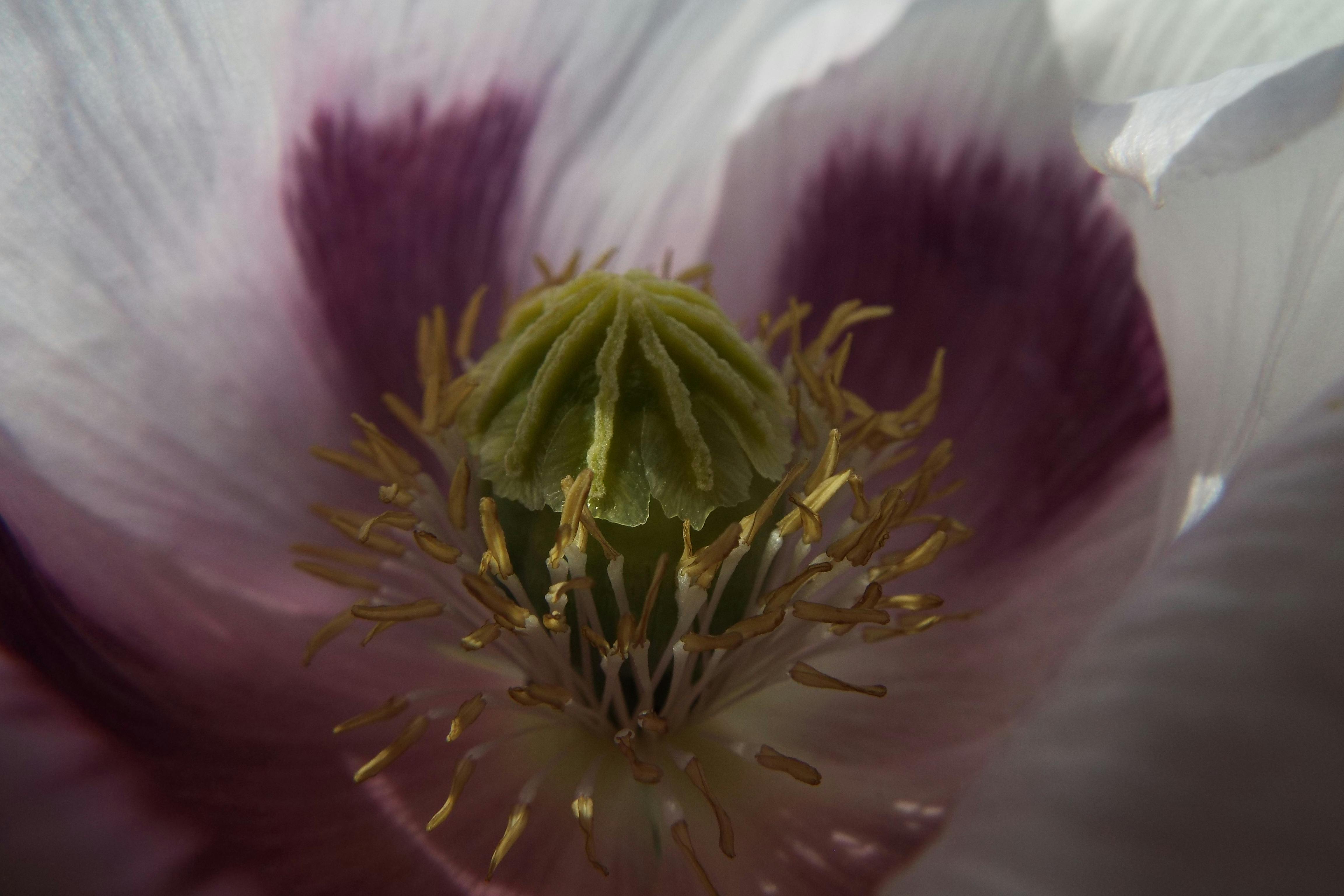 Jan Sperling - Fotografía