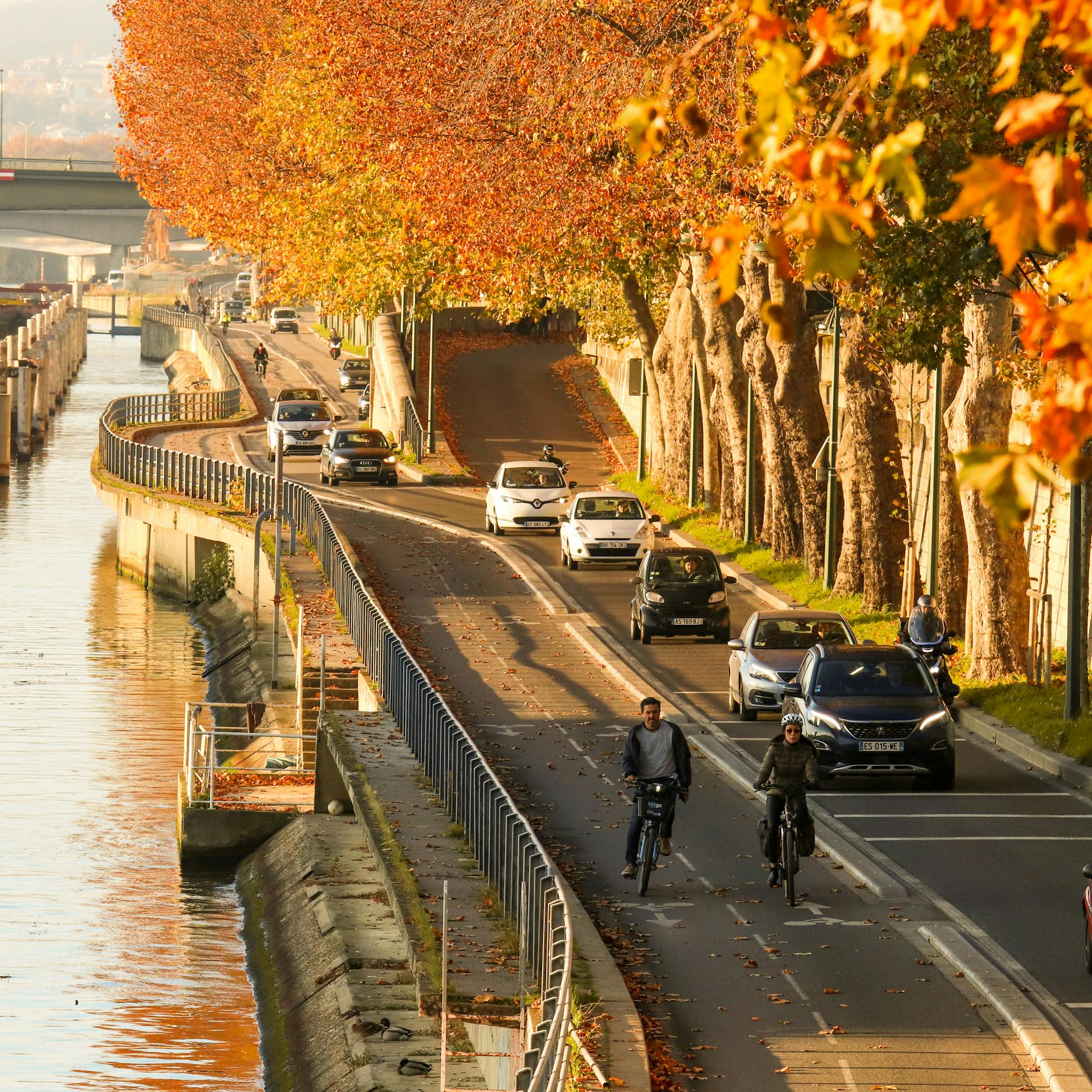 Moving Cars and Bikes on the Road · Free Stock Photo